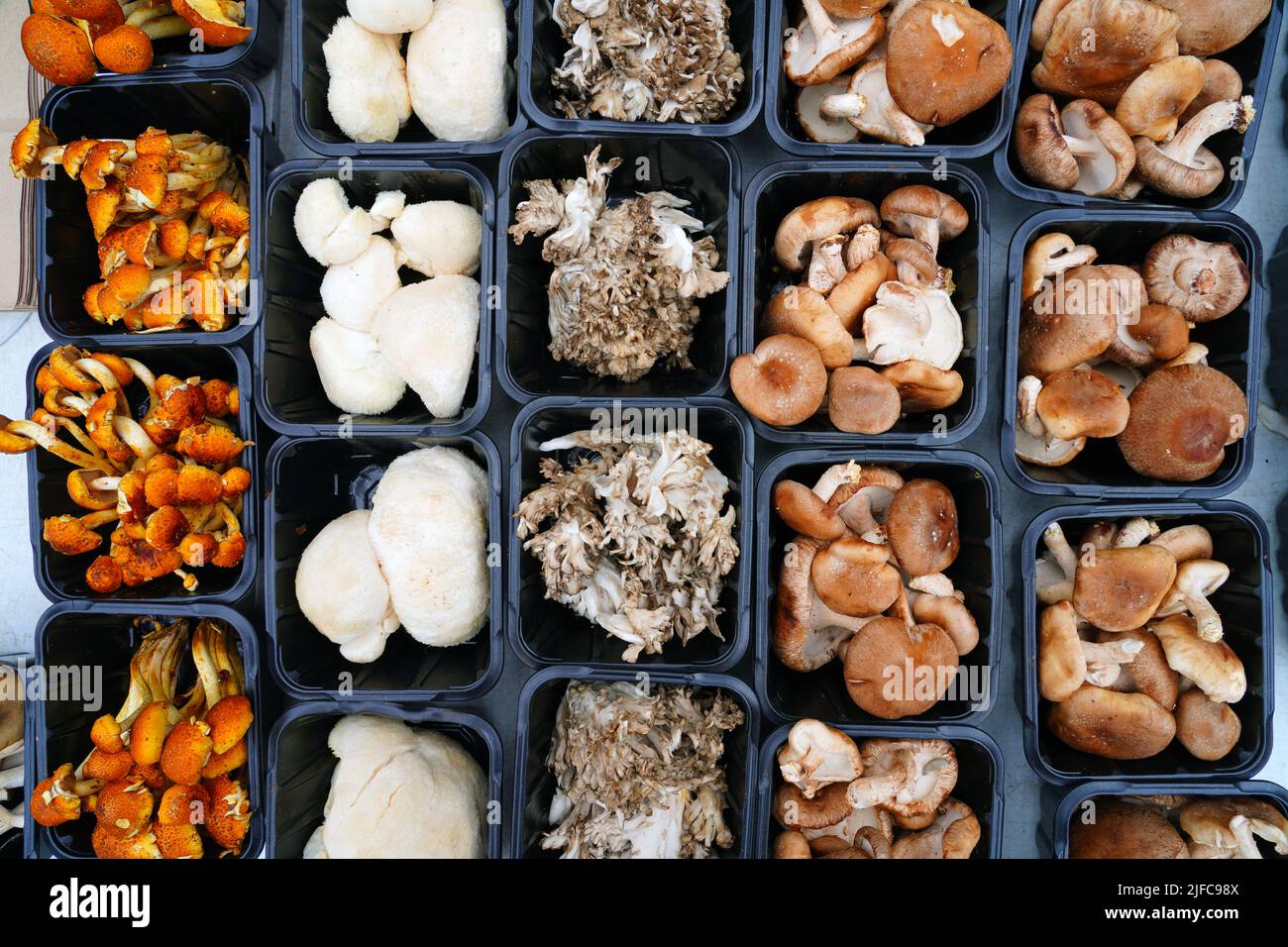 Containers of mixed gourmet mushrooms at a farmers market Stock Photo ...