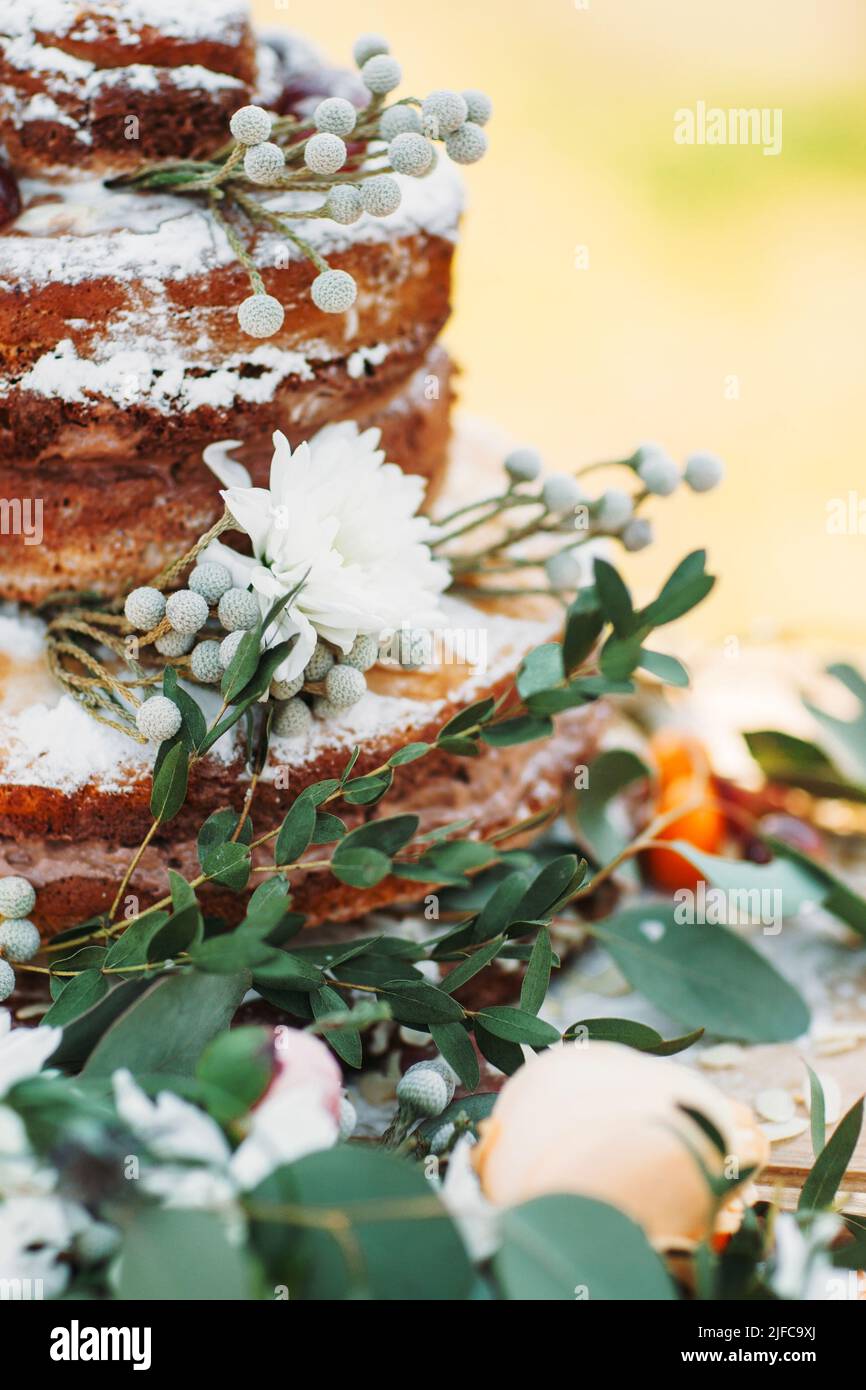 Appetizing wedding cake in rustic style Stock Photo - Alamy