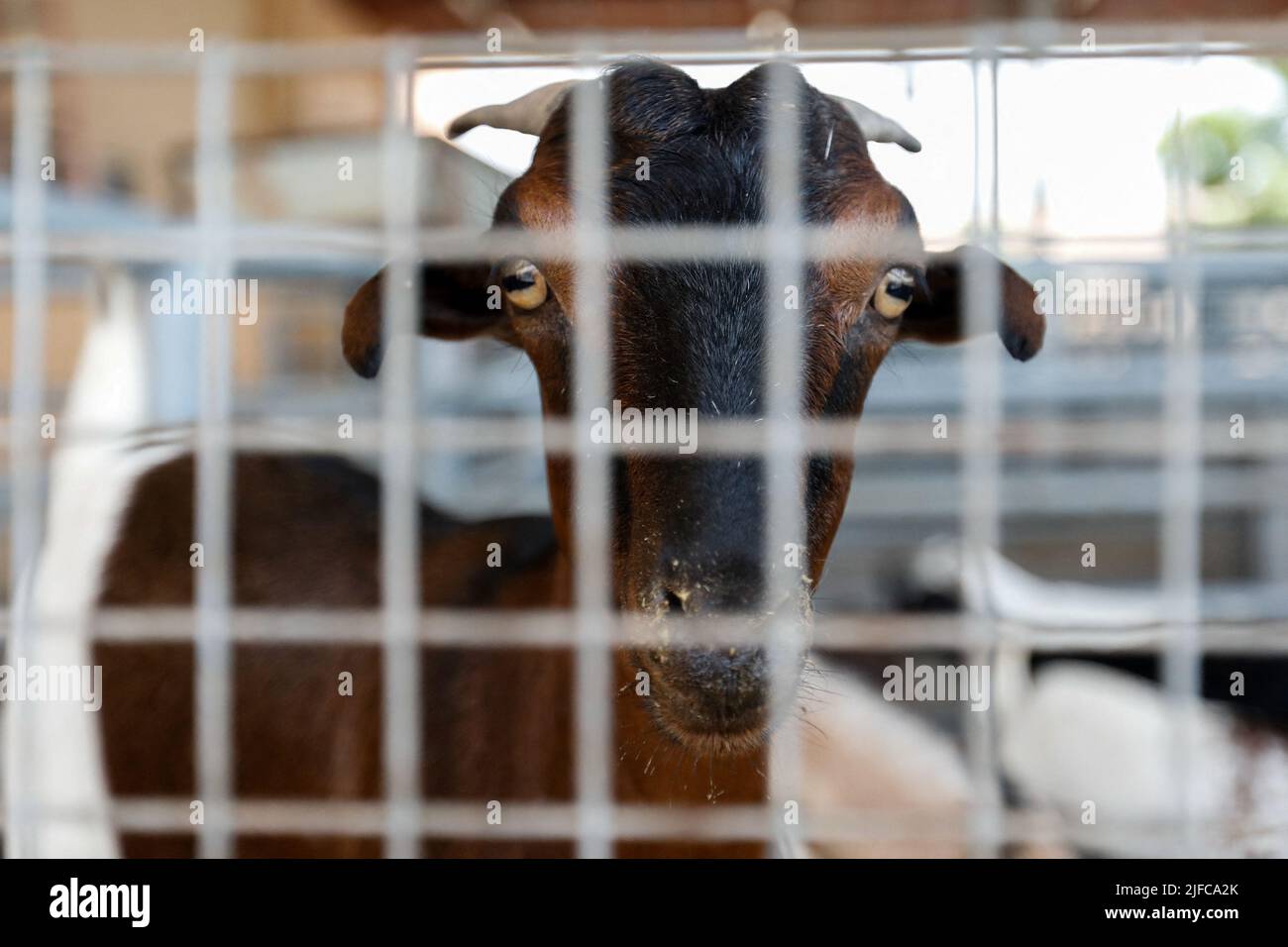 Al quoz 1 dubai hi-res stock photography and images - Alamy