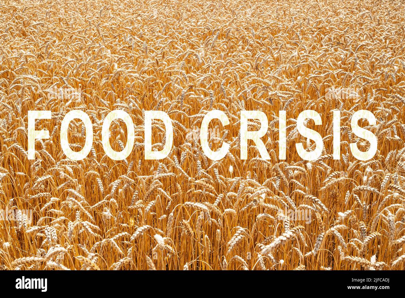 Ukraine wheat hi-res stock photography and images - Alamy