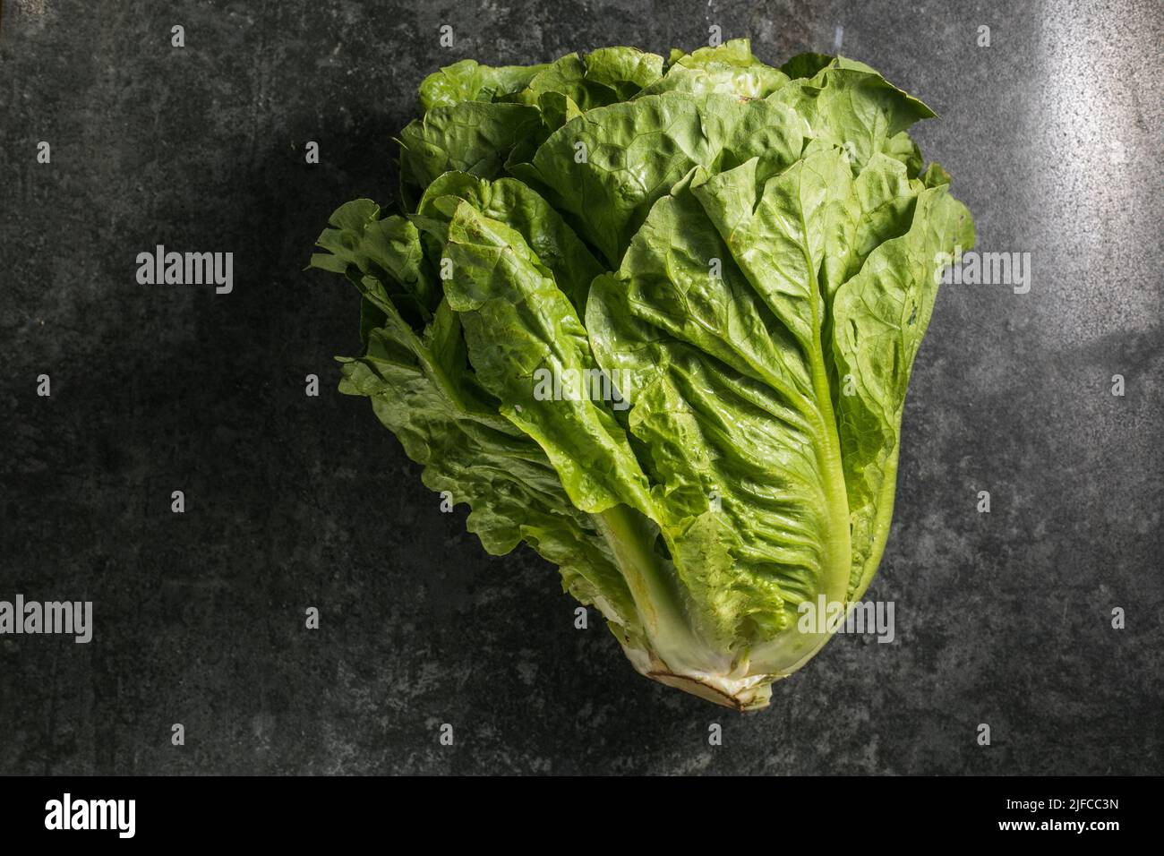 Healthy food, green leaf lettuce salad top view Stock Photo - Alamy