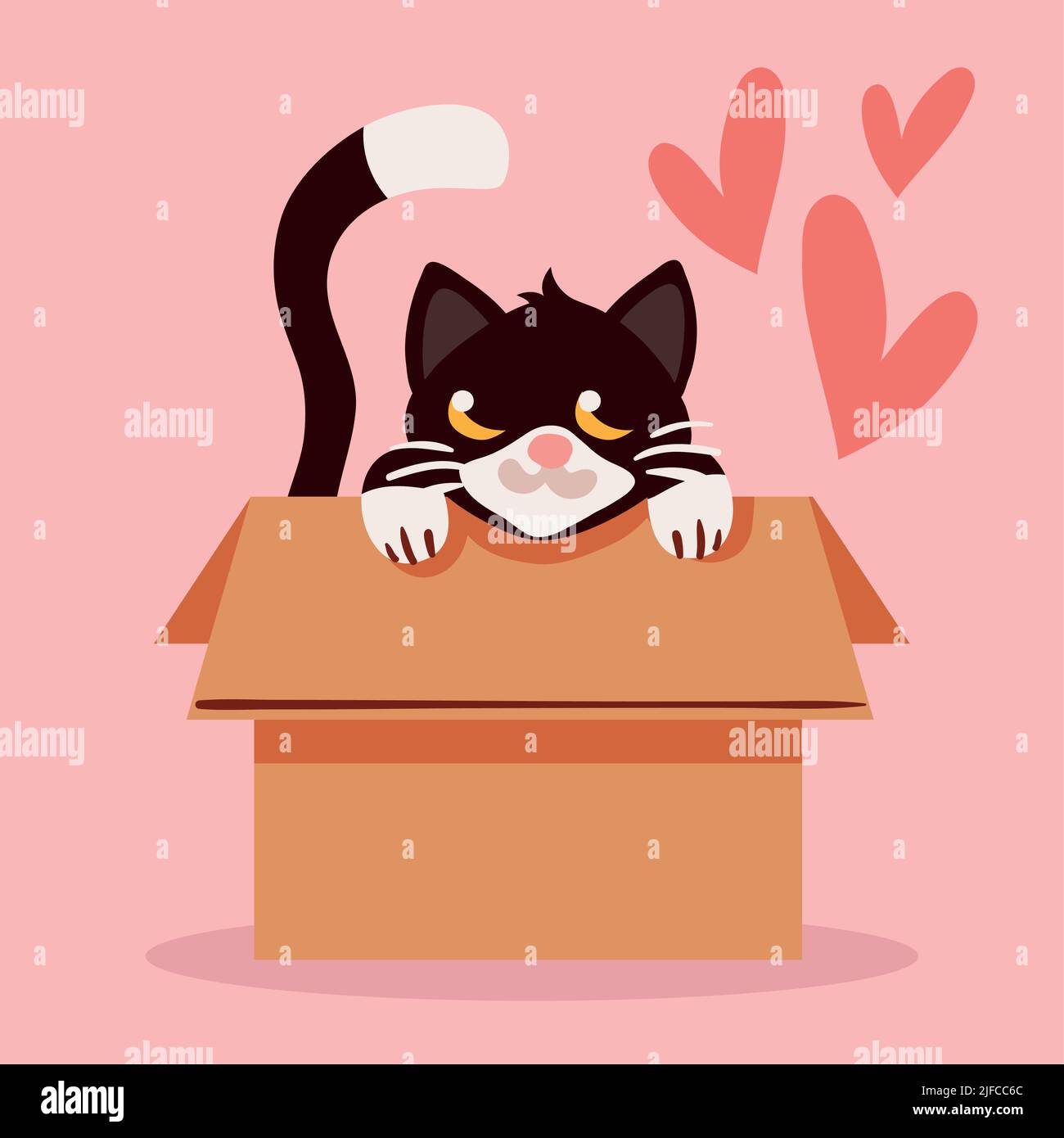 black cat inside box Stock Vector Image & Art - Alamy