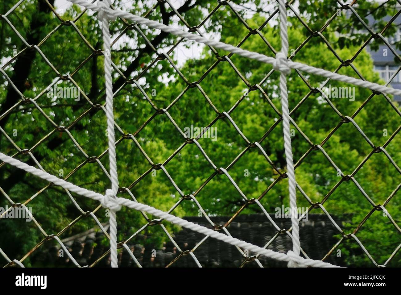 A galvanized iron chain link mesh with green trees on the background ...