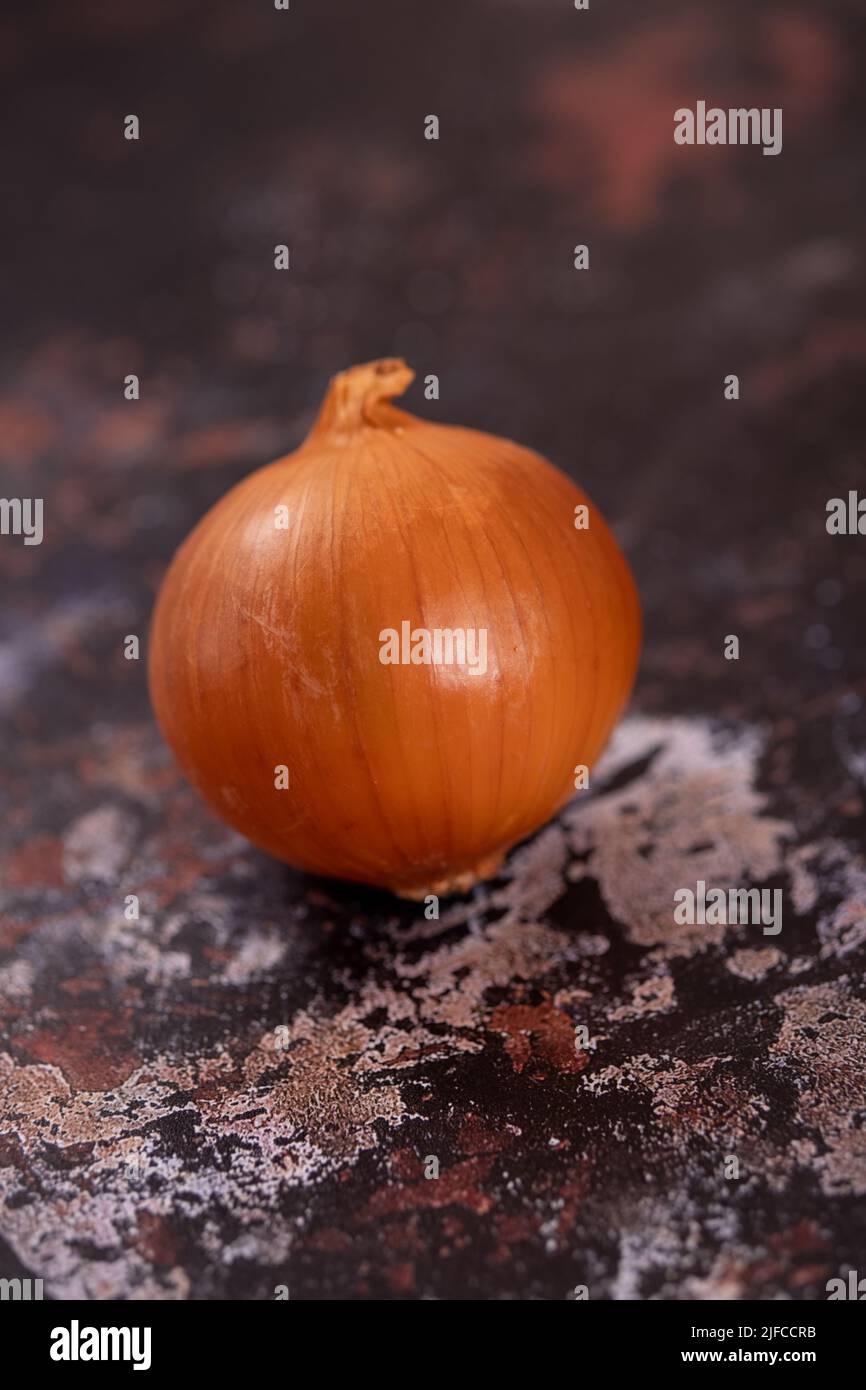 A whole white onion with skin on, against a black metal surface ...