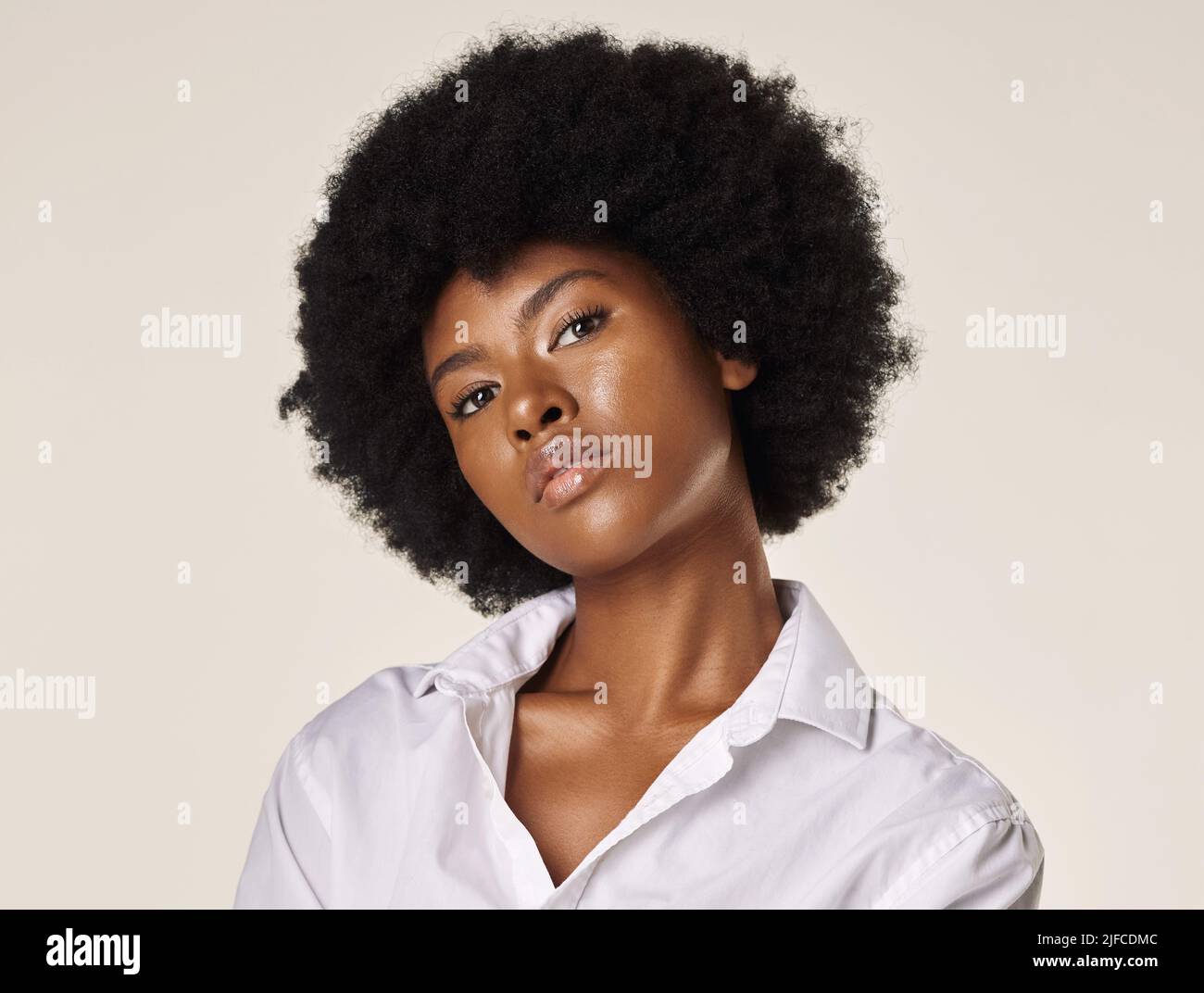 Studio portrait of a young stunning African American woman with a ...