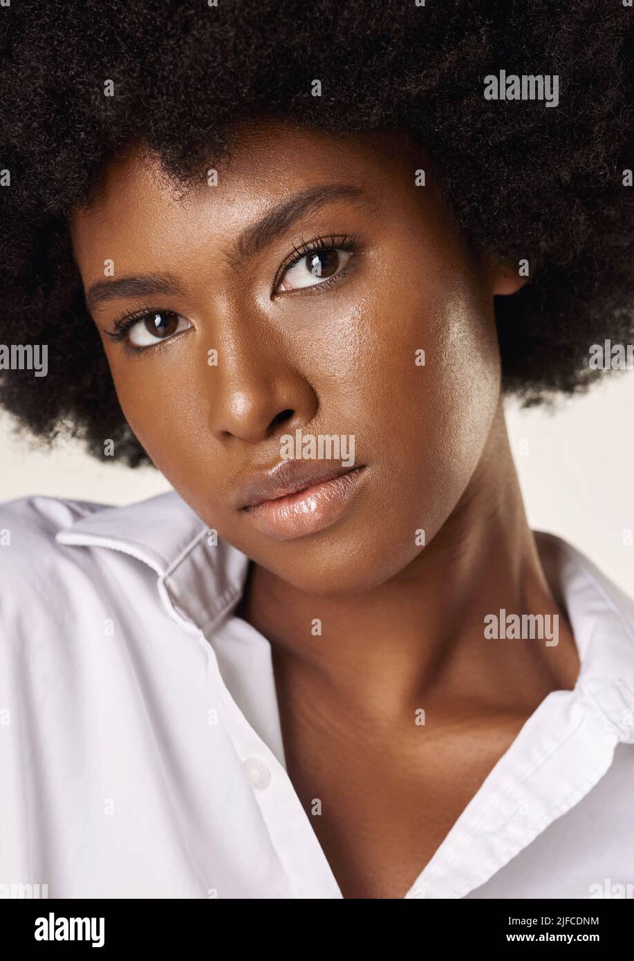 Studio portrait of a young stunning African American woman with a ...