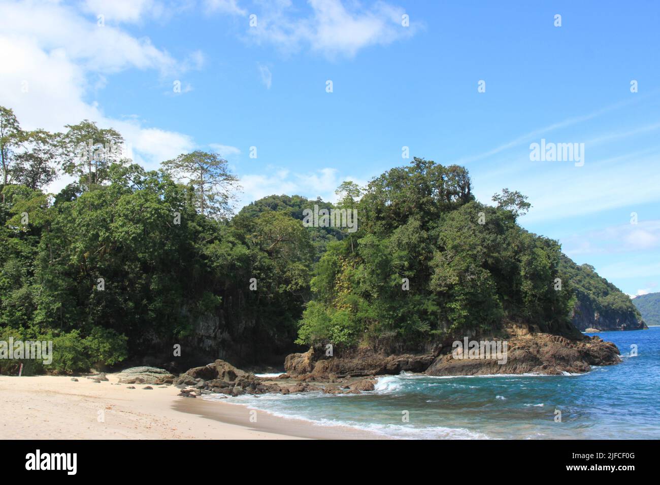 The trees near a sandy beach under a cloudy sky Stock Photo - Alamy