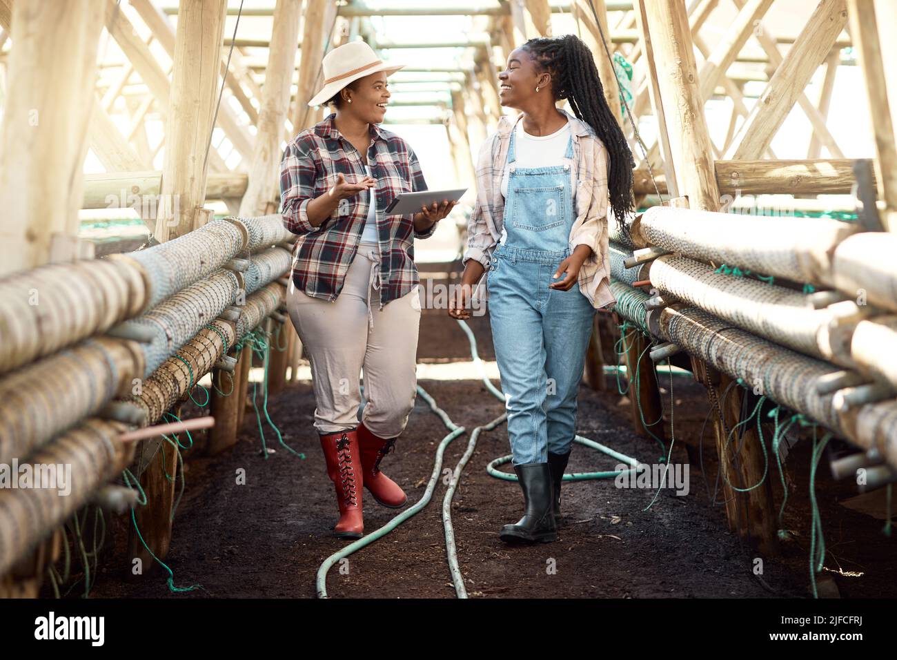 Happy farmers walking through a greenhouse. farmers talking, using a ...