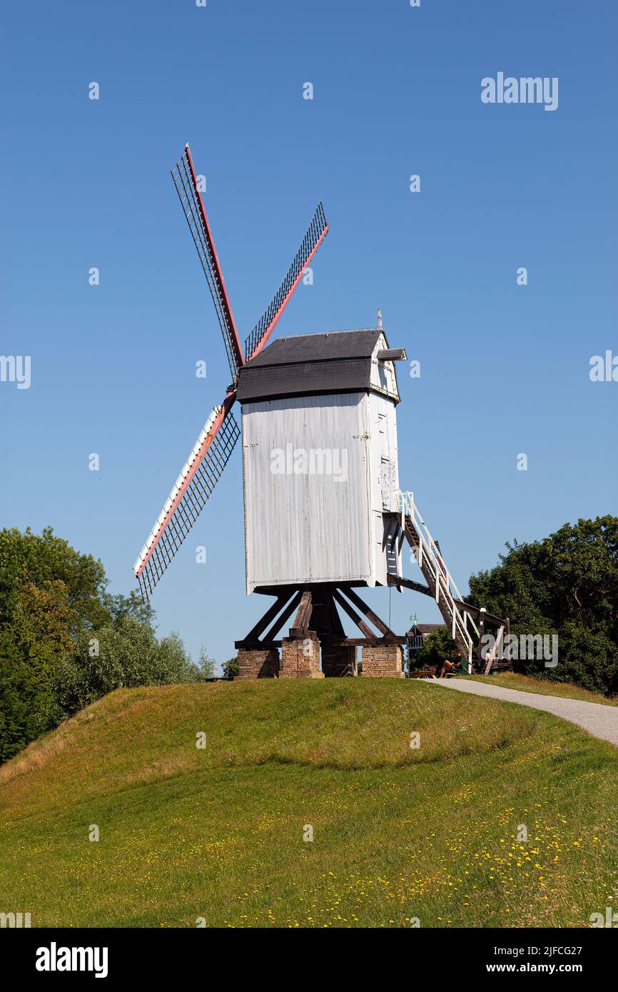 Windmill in Bruges, Belgium Stock Photo - Alamy