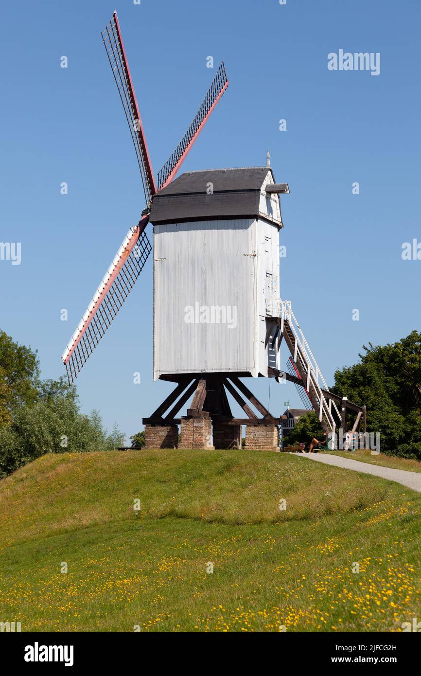 Windmill in Bruges, Belgium Stock Photo - Alamy