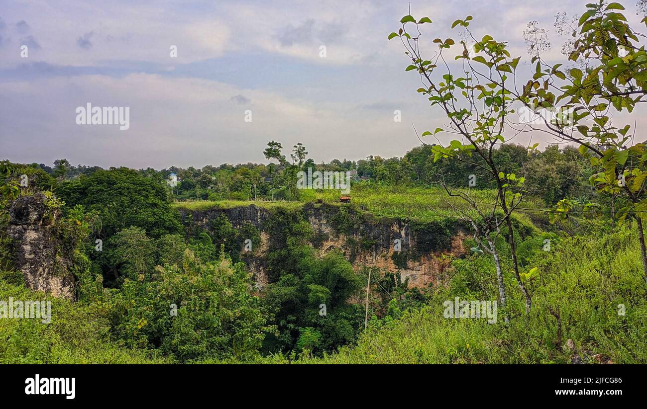 A view of a cliff in the jungle Stock Photo - Alamy