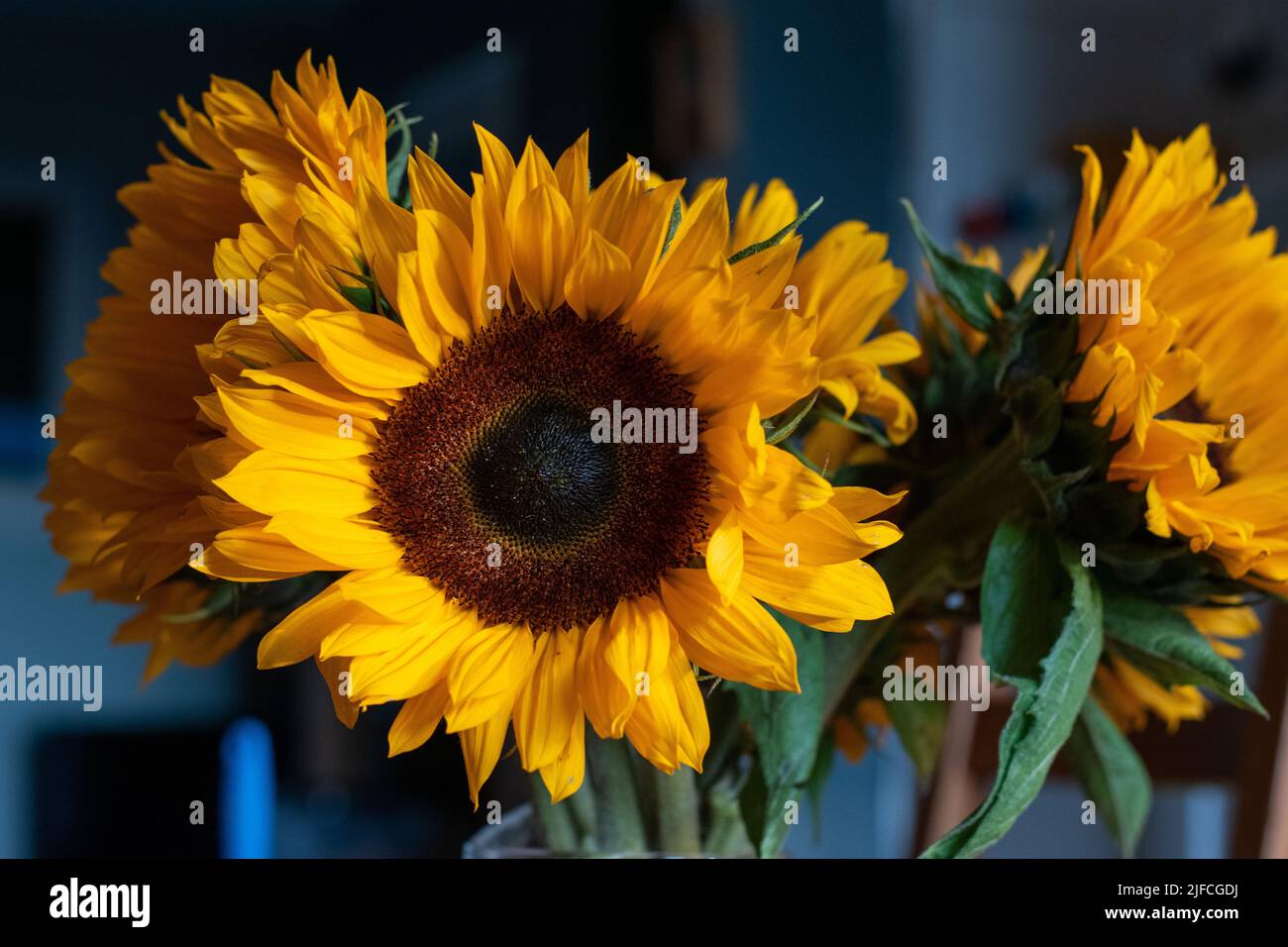 Big bunch of flowers hi-res stock photography and images - Alamy