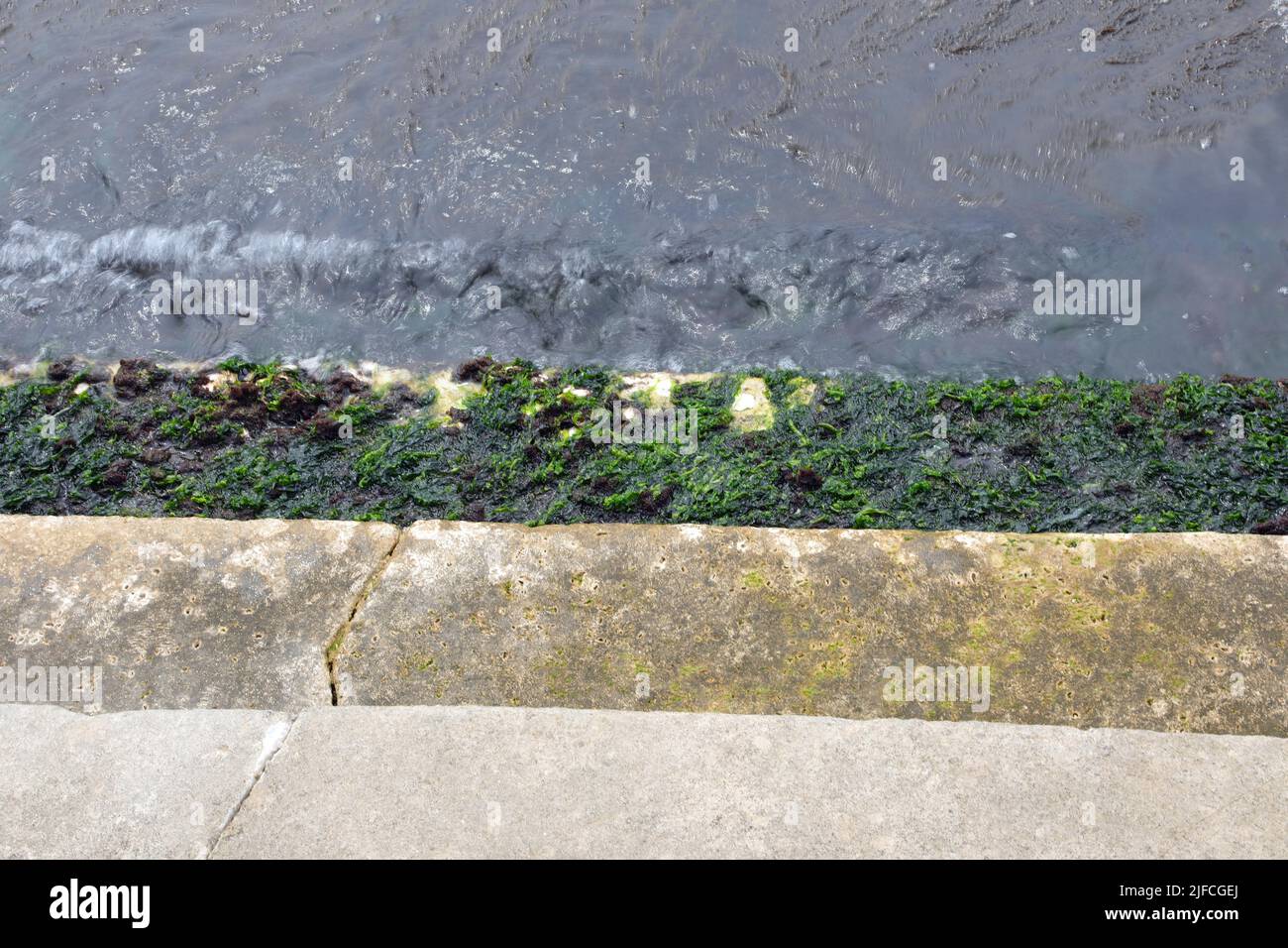 steps of the Venetian staircase with the green algae of the Giudecca ...