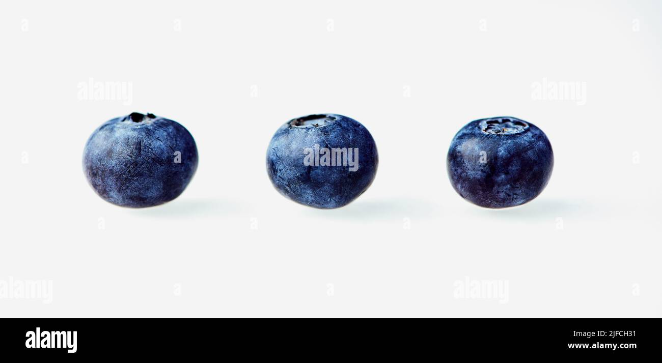 three blueberries on white background in a row Stock Photo - Alamy