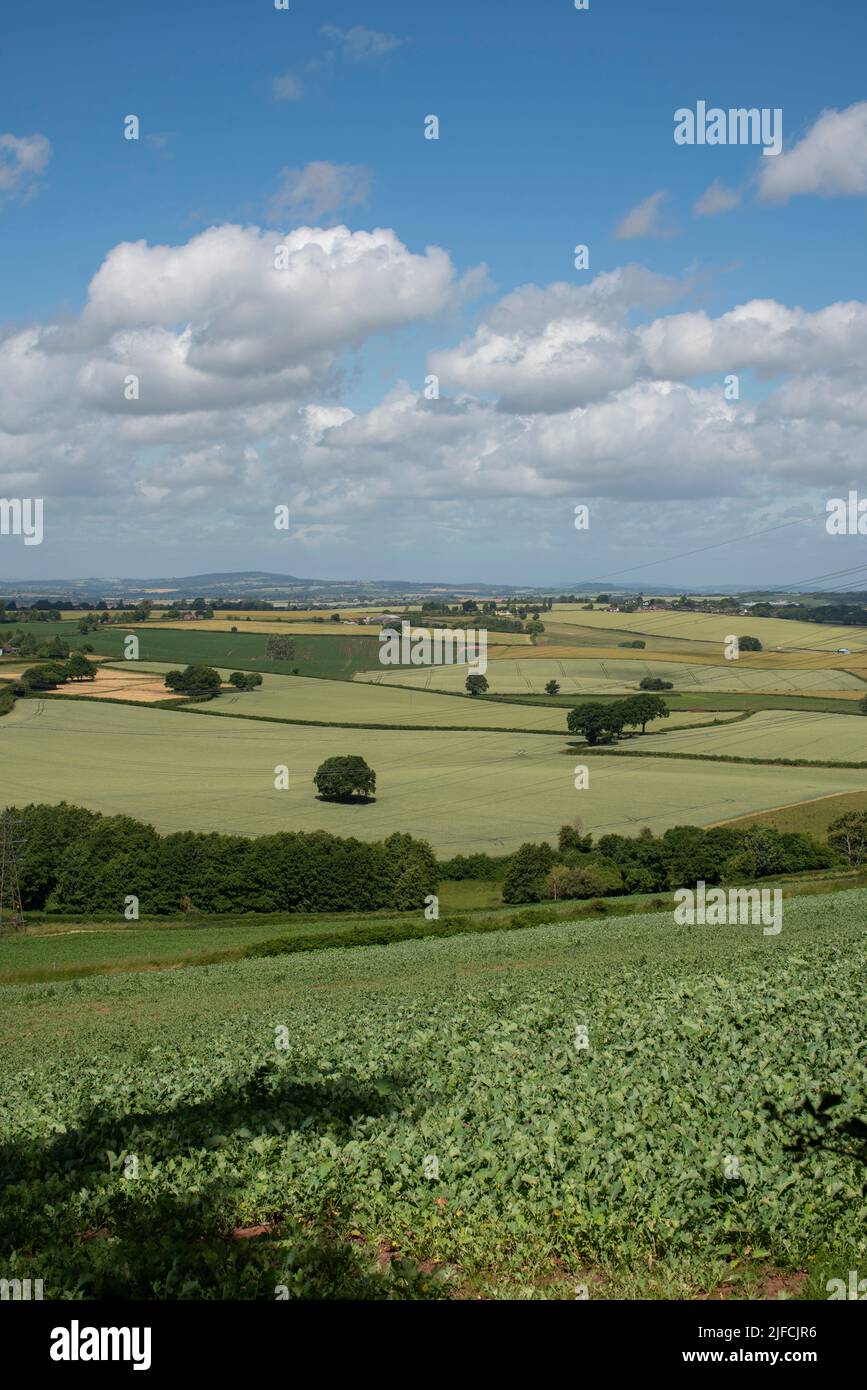 Aerial view of uk farms and agriculture hi-res stock photography and ...