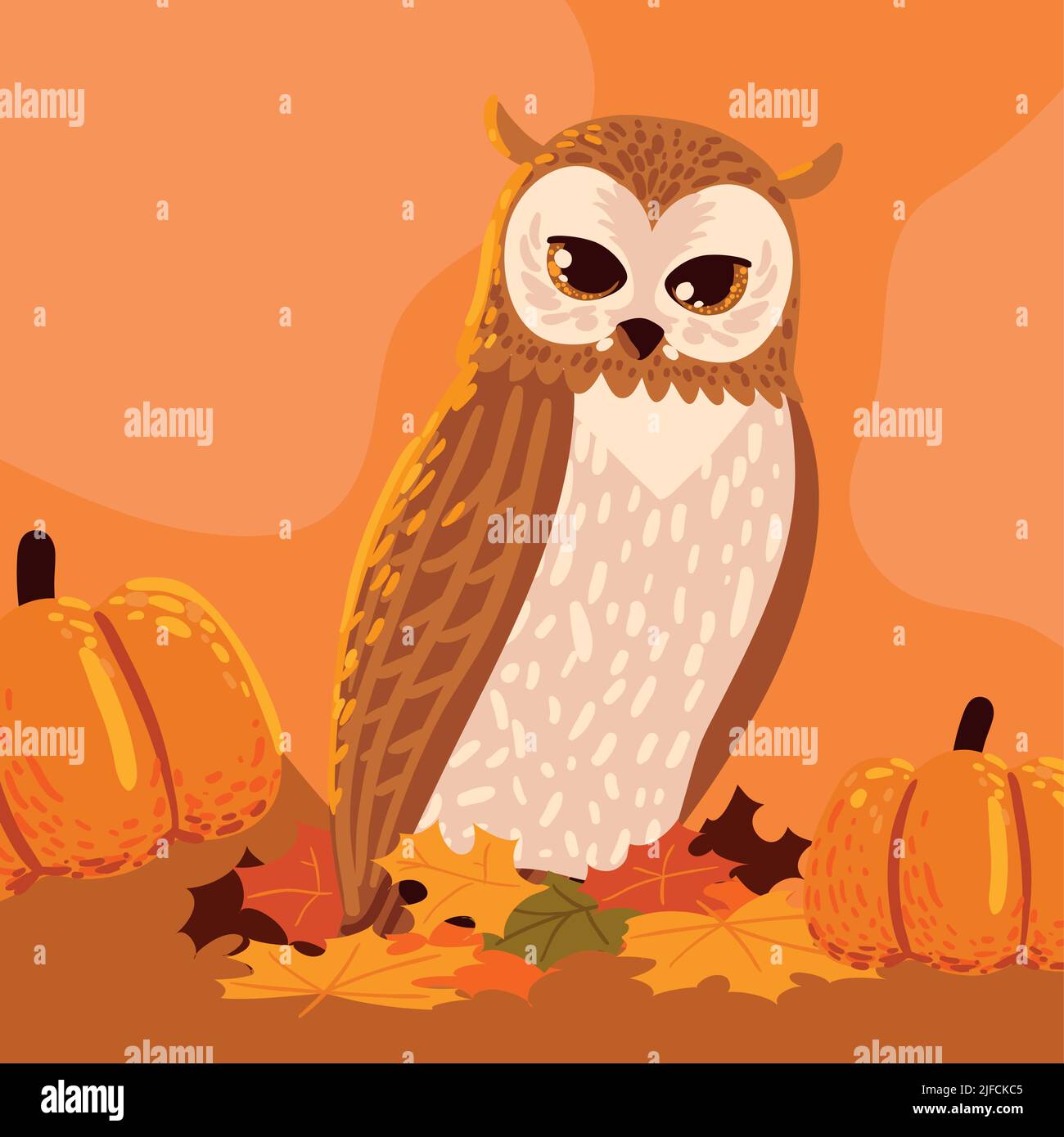 autumn owl and pumpkins Stock Vector Image & Art - Alamy