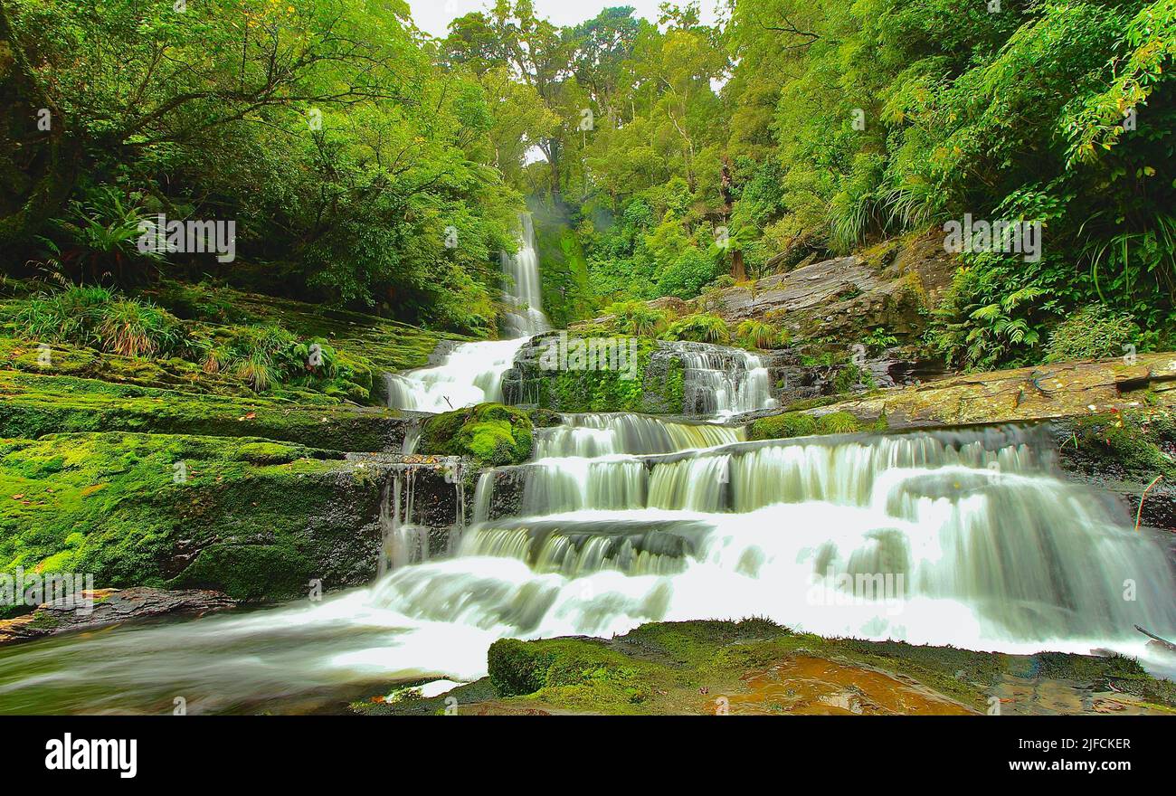 A breathtaking view of waterfall flowing through lush green vegetation ...