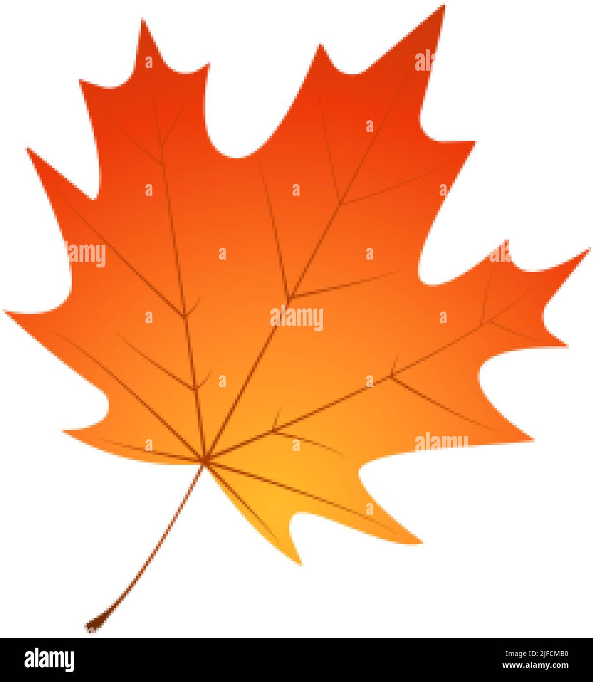 Variegated maple leaves Stock Vector Images - Alamy