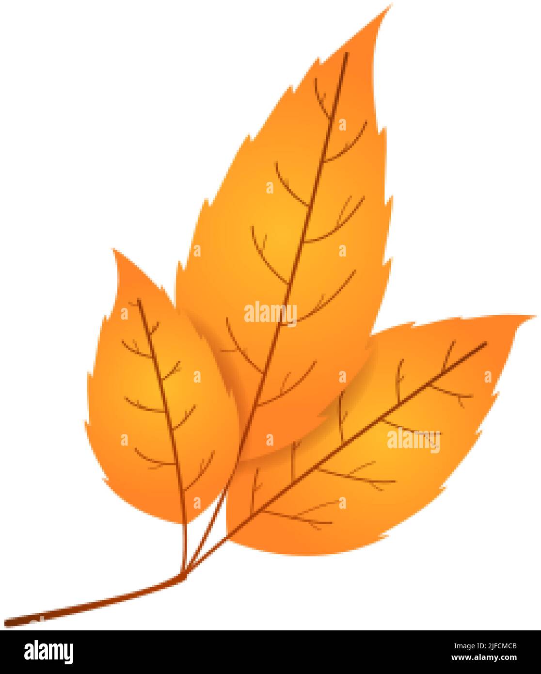 Withered autumn motley leaf. Fallen orange and red colored leaf Stock ...