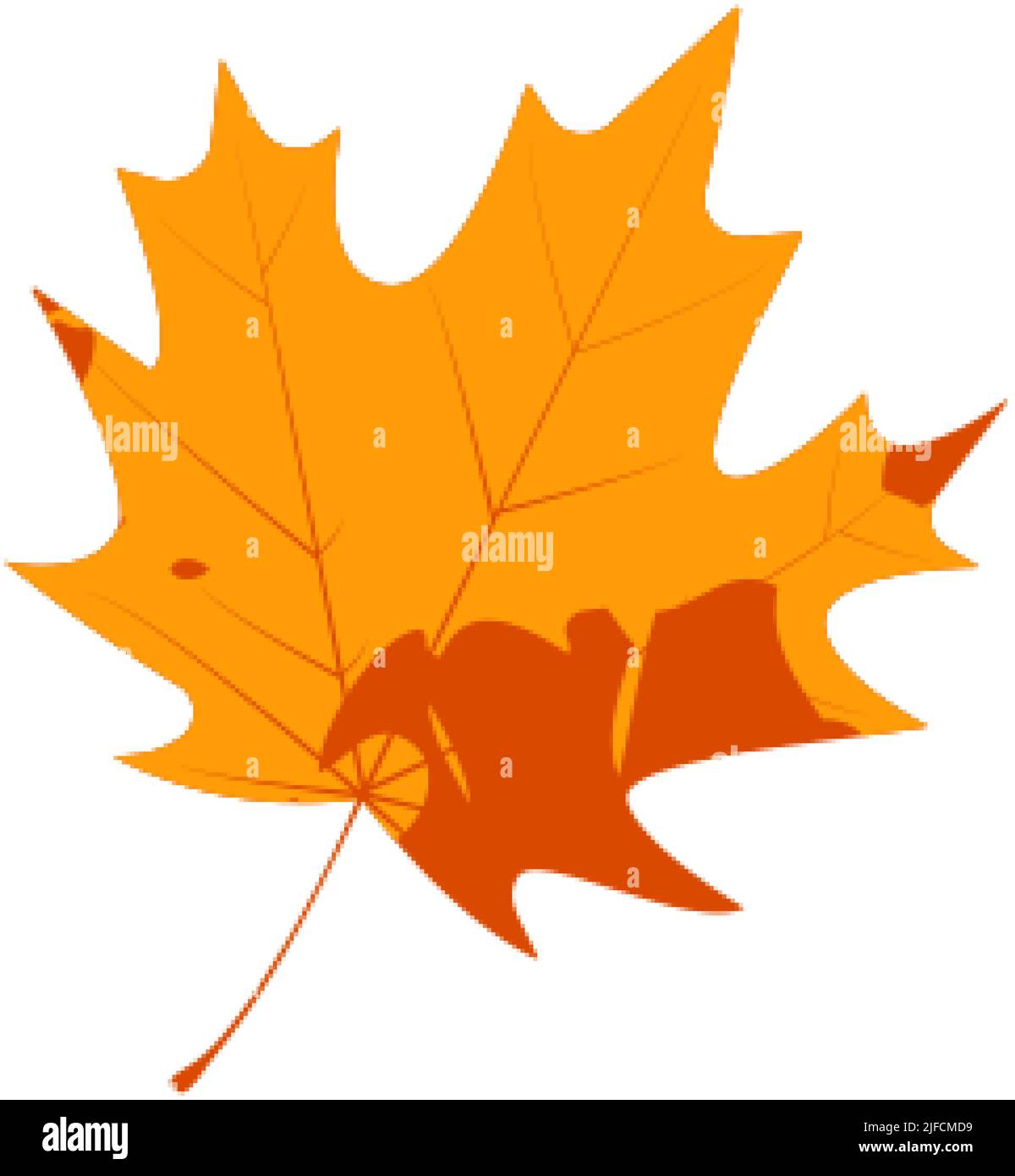 Withered autumn maple leaf. Fallen leaf with notley texture Stock ...