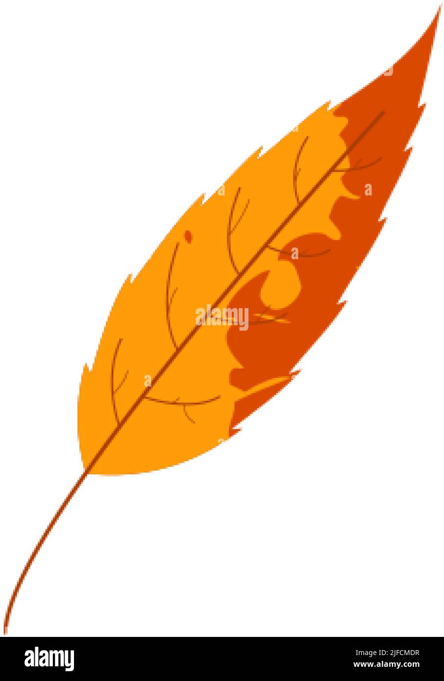 Withered autumn motley leaf. Fallen leaf with variegated texture Stock ...