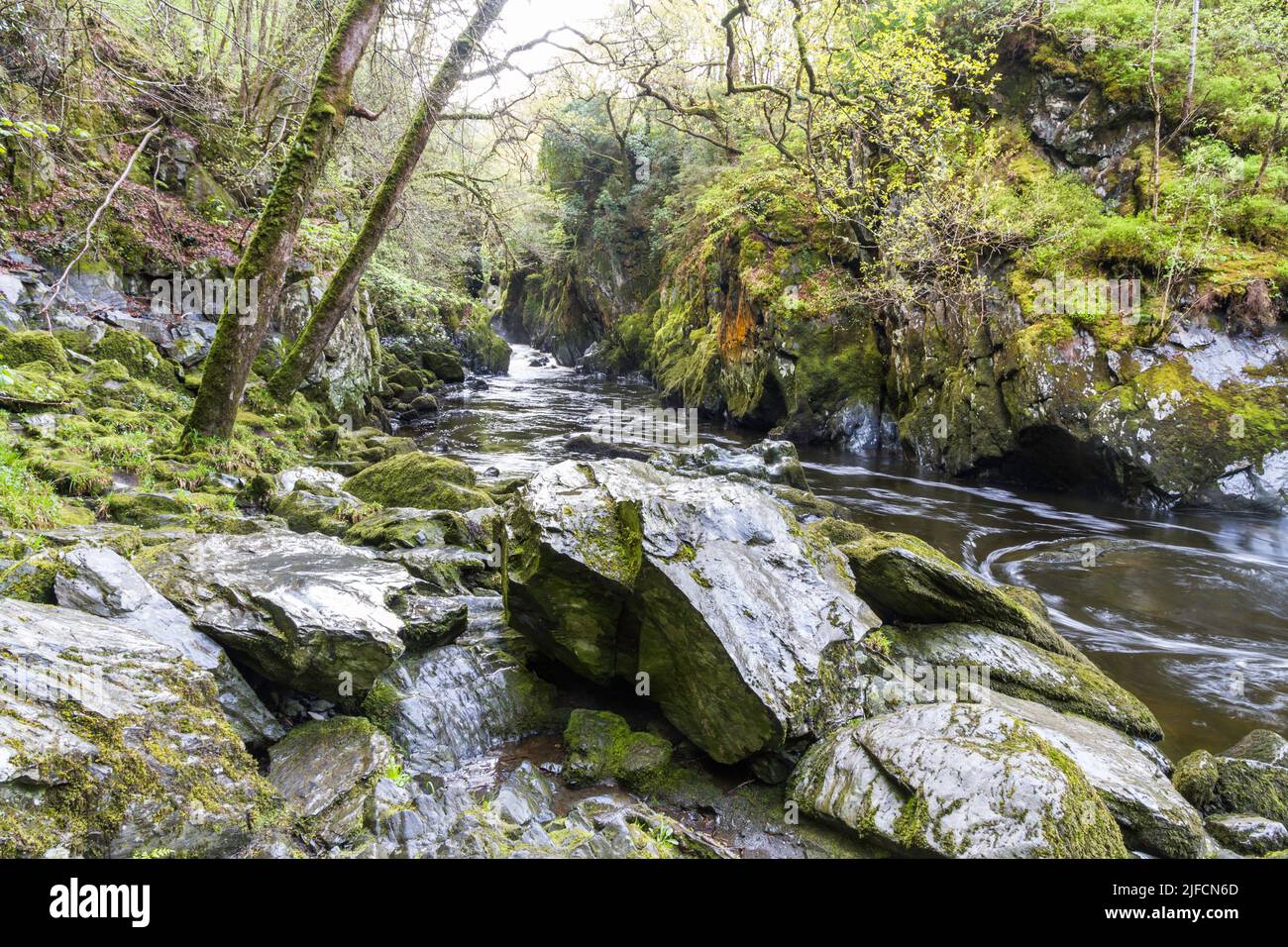 Beautiful Gorge with river The Fairy Glen, Betws-y-Coed, Snowdonia ...