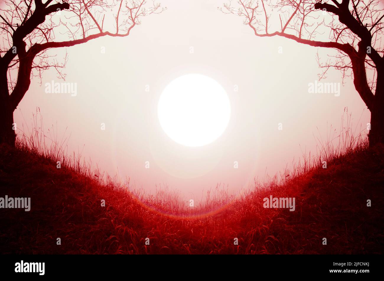 A bright red glowing ball of light. Floating above the ground in the ...