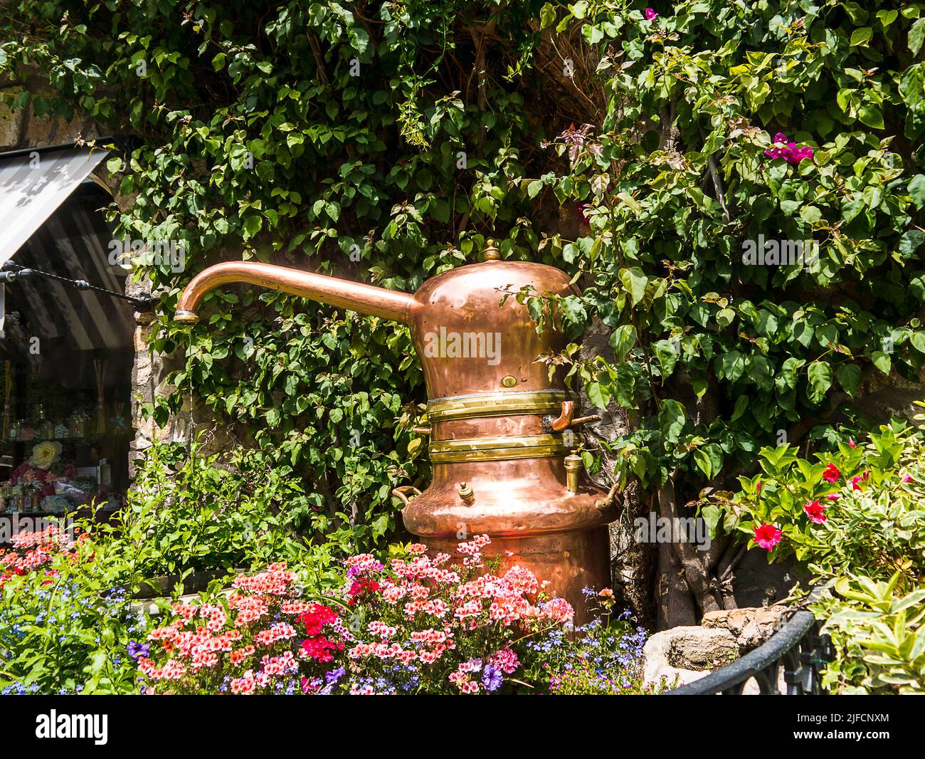 Wonderful display of flowers outside a perfumery factory on the Isle of ...