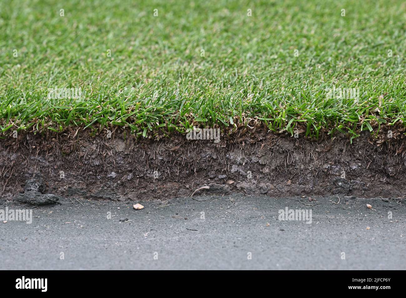 01 July 2022. London, United Kingdom. A cross section of the grass lawn ...