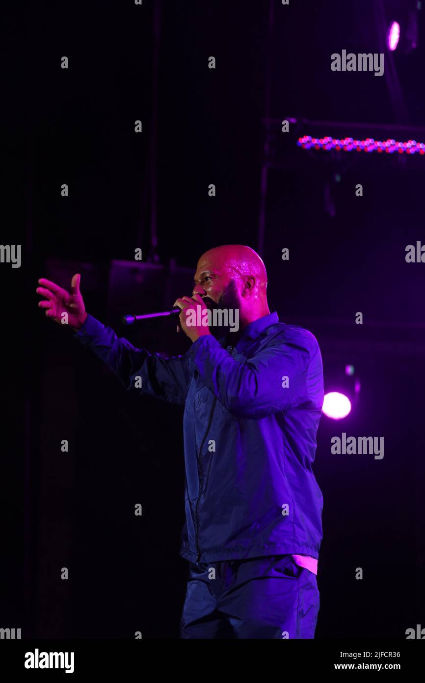 Club Quarantine Live with D-Nice at the 2021 BRIC Celebrate Brooklyn ...