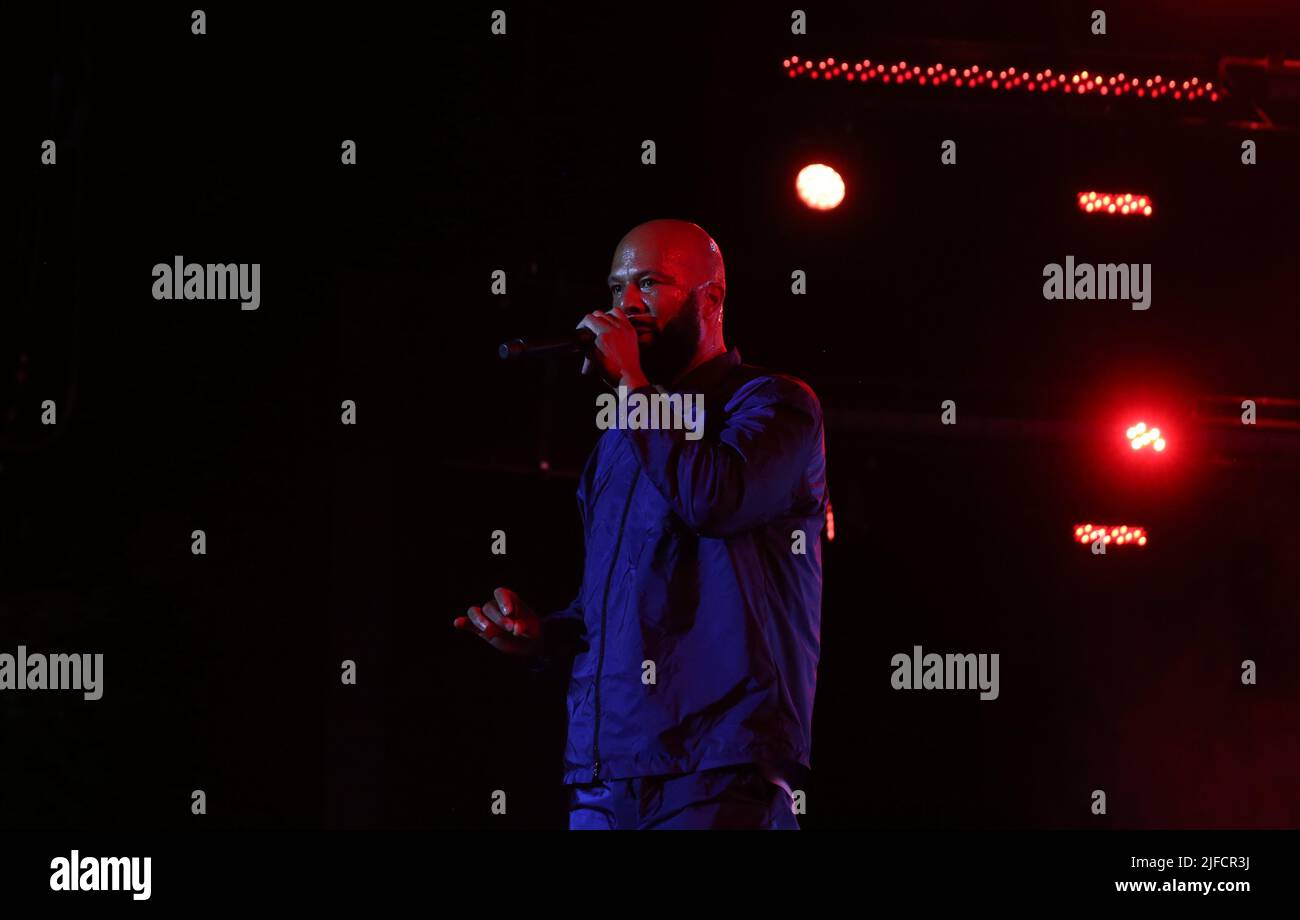 Club Quarantine Live with D-Nice at the 2021 BRIC Celebrate Brooklyn ...
