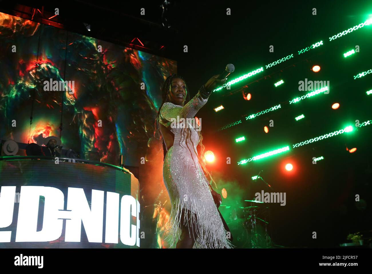 Club Quarantine Live with D-Nice at the 2021 BRIC Celebrate Brooklyn ...