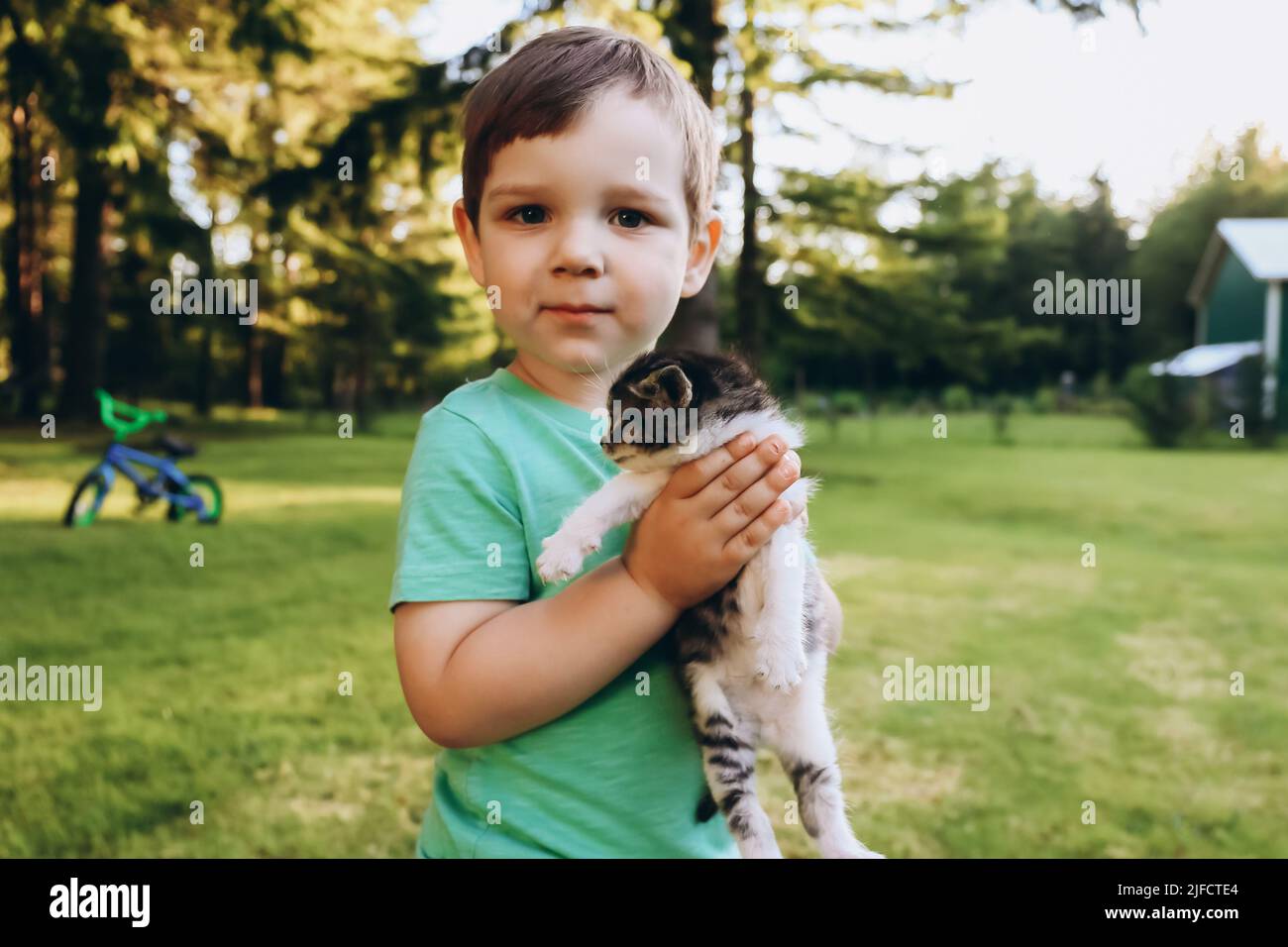 Little boy with kitten in his hands, outdoor Stock Photo - Alamy