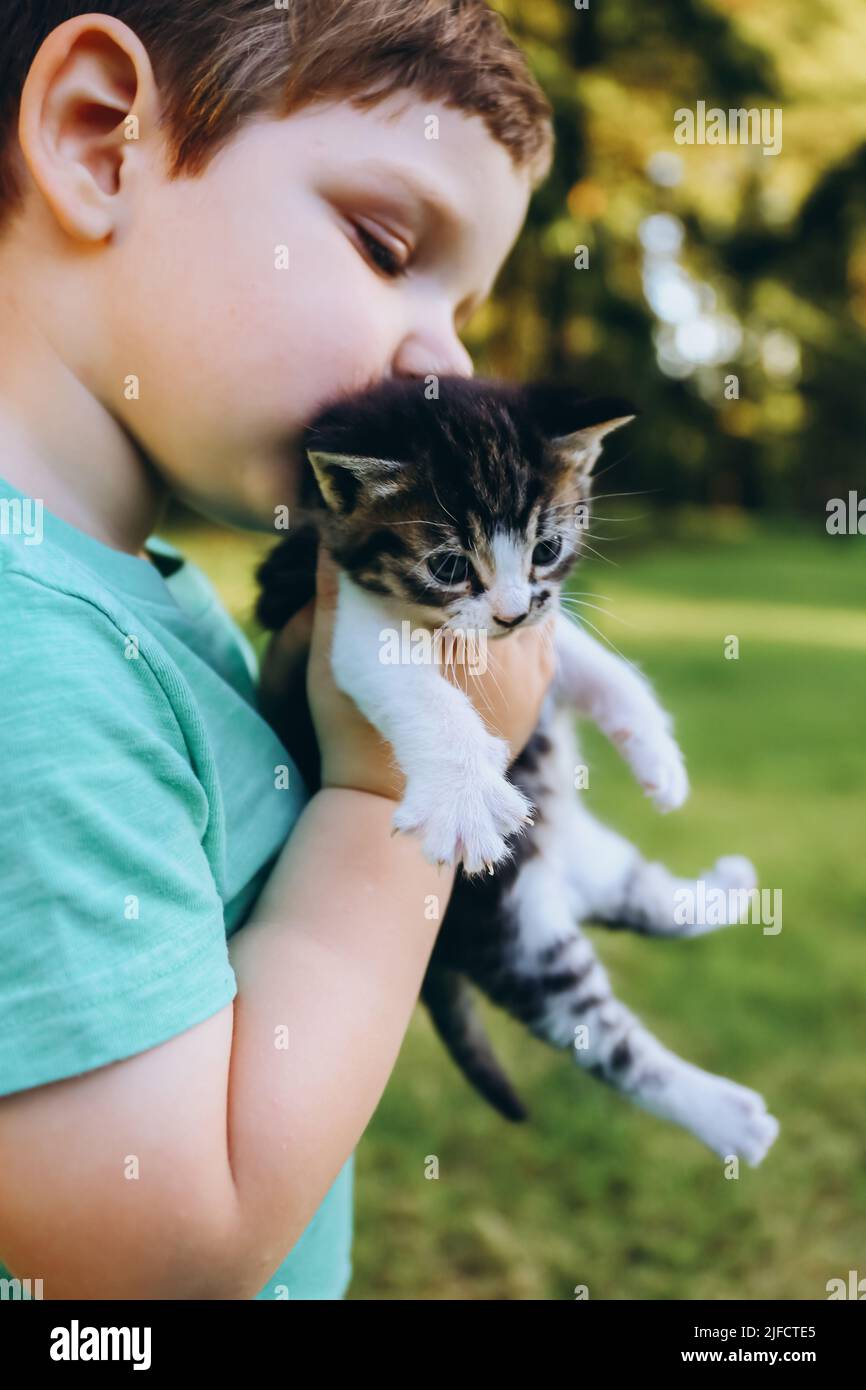 Little boy with kitten in his hands, outdoor Stock Photo - Alamy