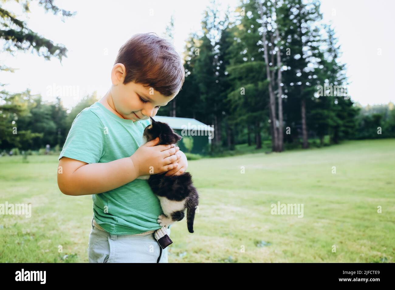 Little boy with kitten in his hands, outdoor Stock Photo - Alamy