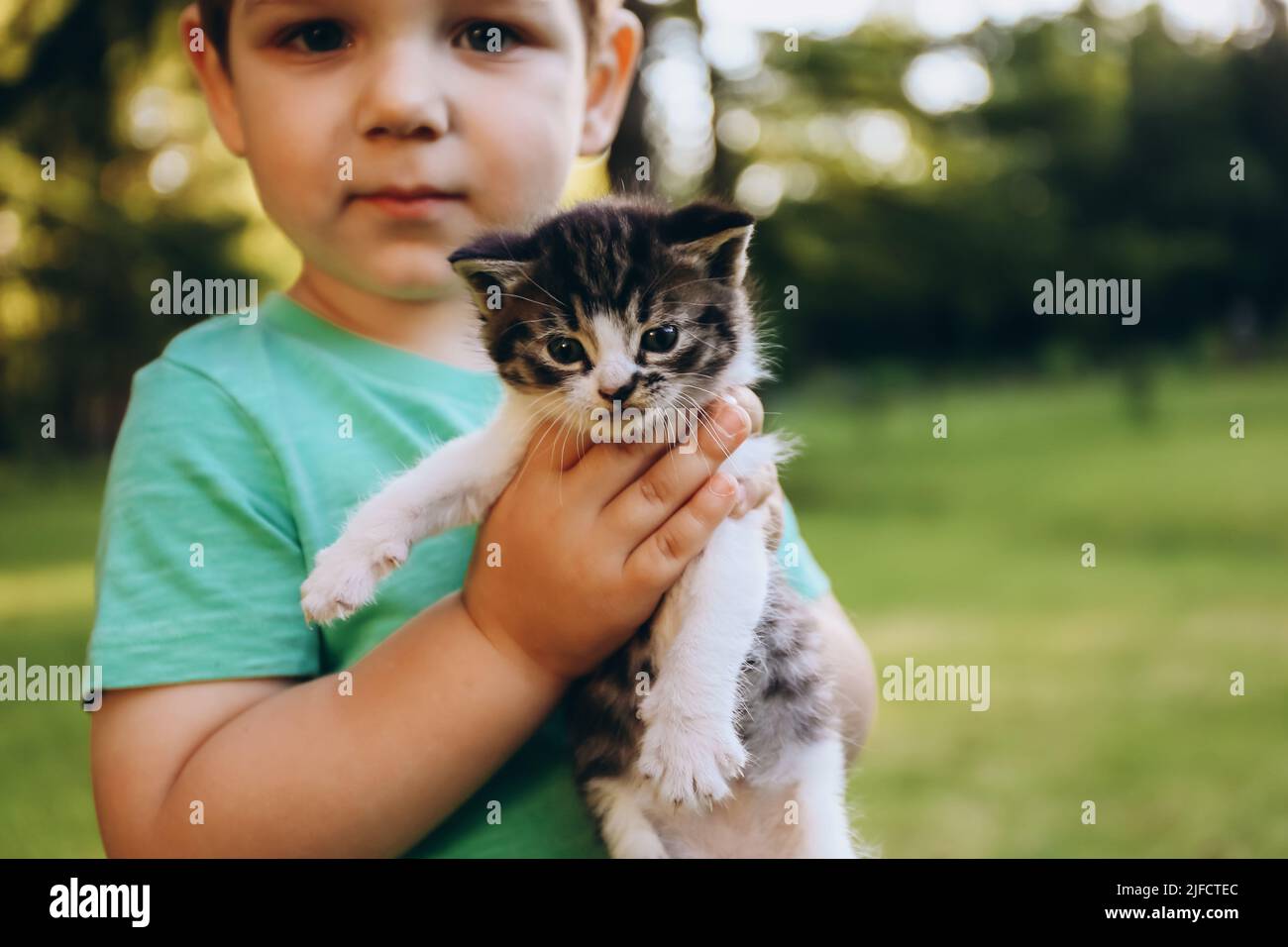 Little boy with kitten in his hands, outdoor Stock Photo - Alamy