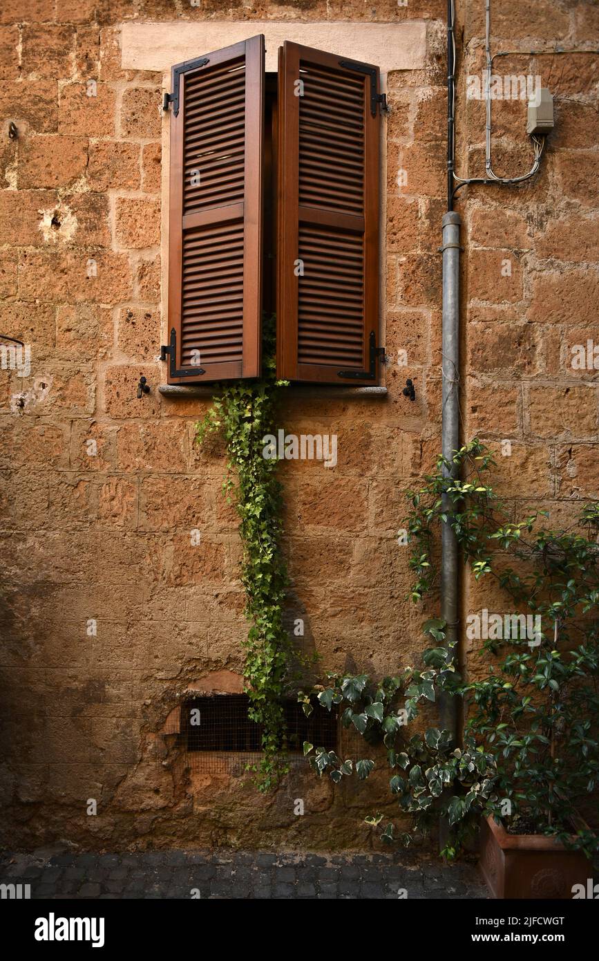 Ivy coming out of a window in a village in Tuscany Stock Photo - Alamy