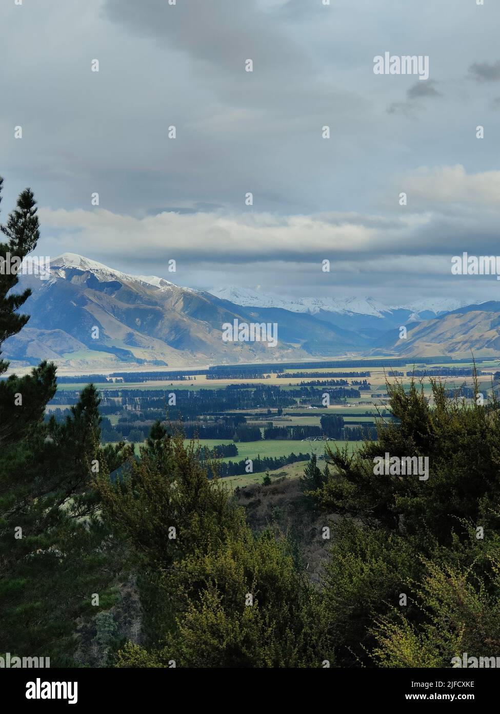 A vertical landscape of green lands with pine trees and mountains in ...