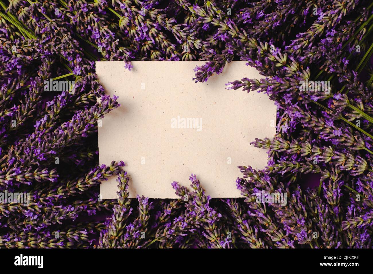 A Layout made of fresh lavenders with paper card note with copy space ...