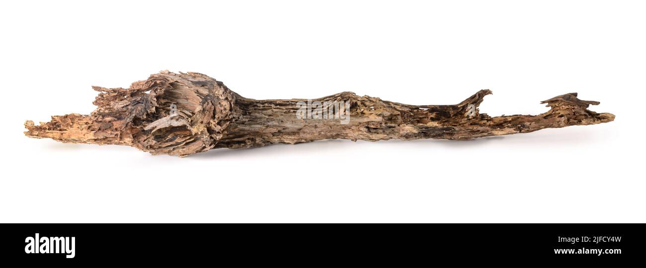 Rotten log Cut Out Stock Images & Pictures - Alamy
