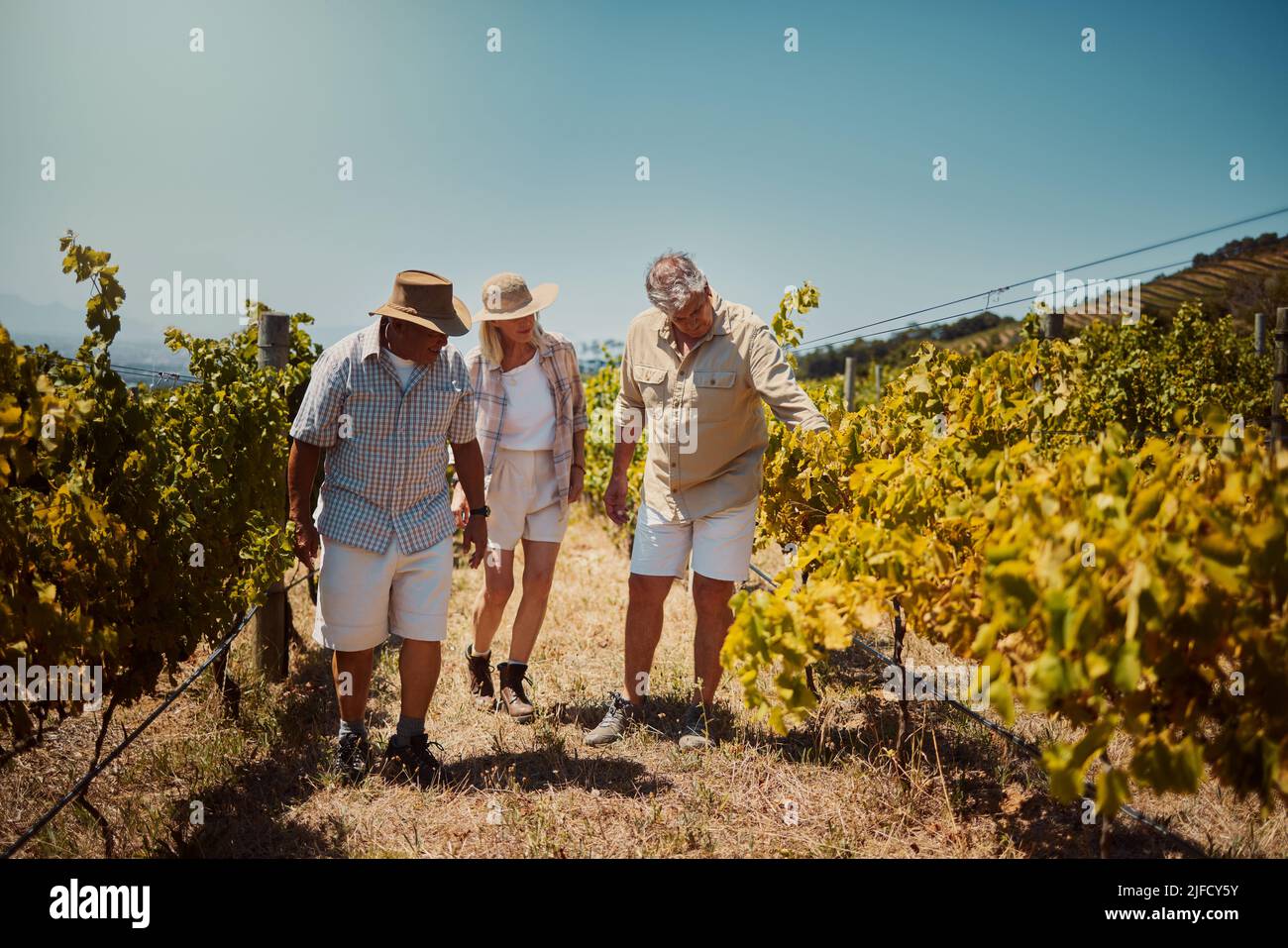 Full length of diverse group of senior farmers talking in vineyard ...