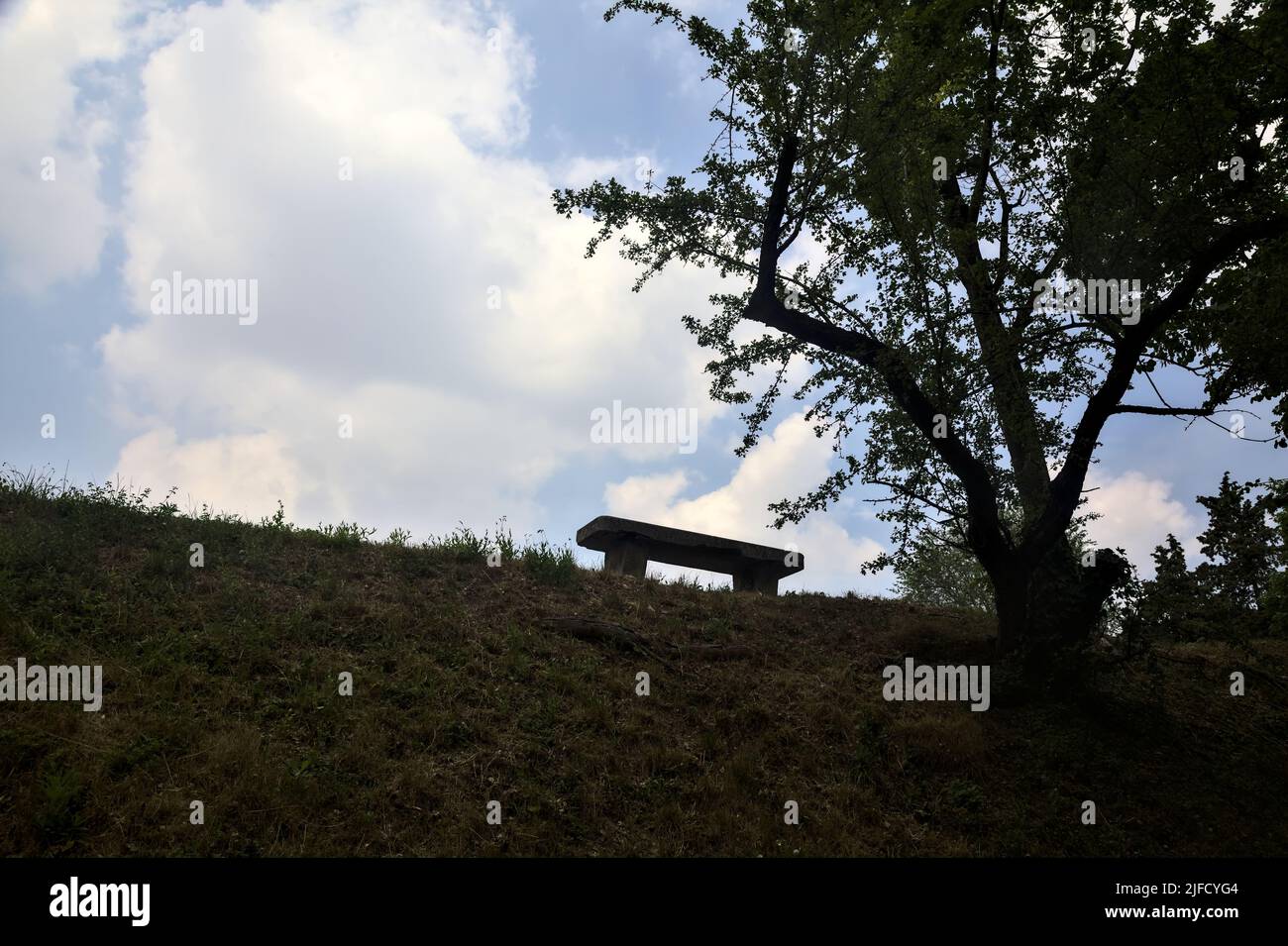 Stone bench on the top of an embankment next to a tree with the sky as ...