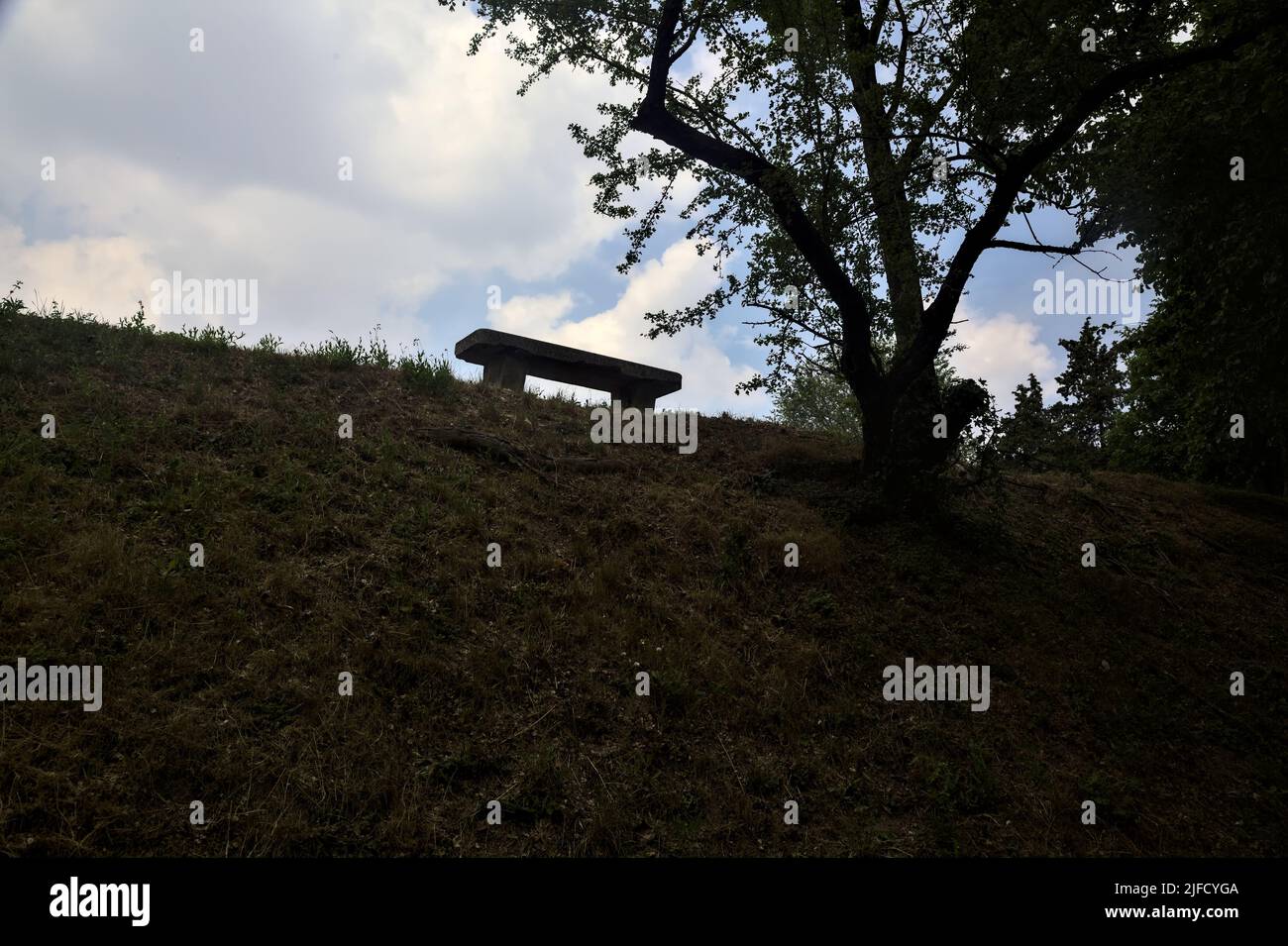 Stone bench on the top of an embankment next to a tree with the sky as ...