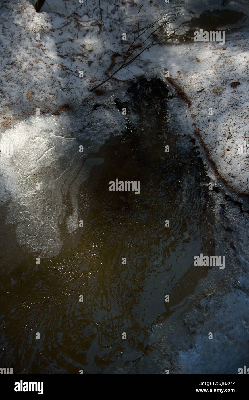 A forest stream surfaced and surrounded by a crust of ice in the forest ...