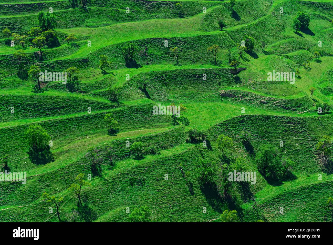 terraced farmland on the mountain slopes in Dagestan Stock Photo - Alamy