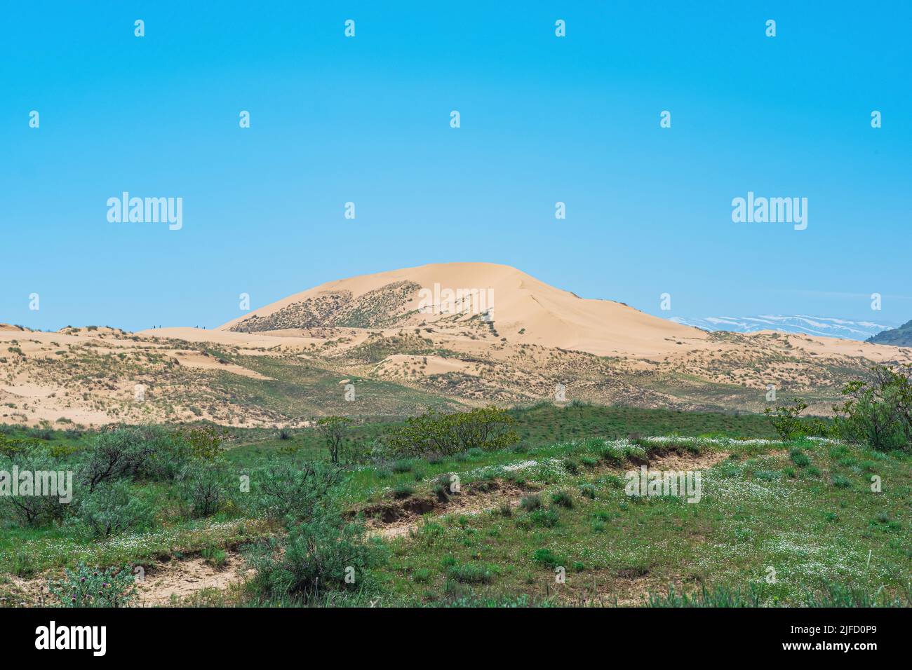 semi-arid landscape in the vicinity of the Sarykum sand dune Stock ...