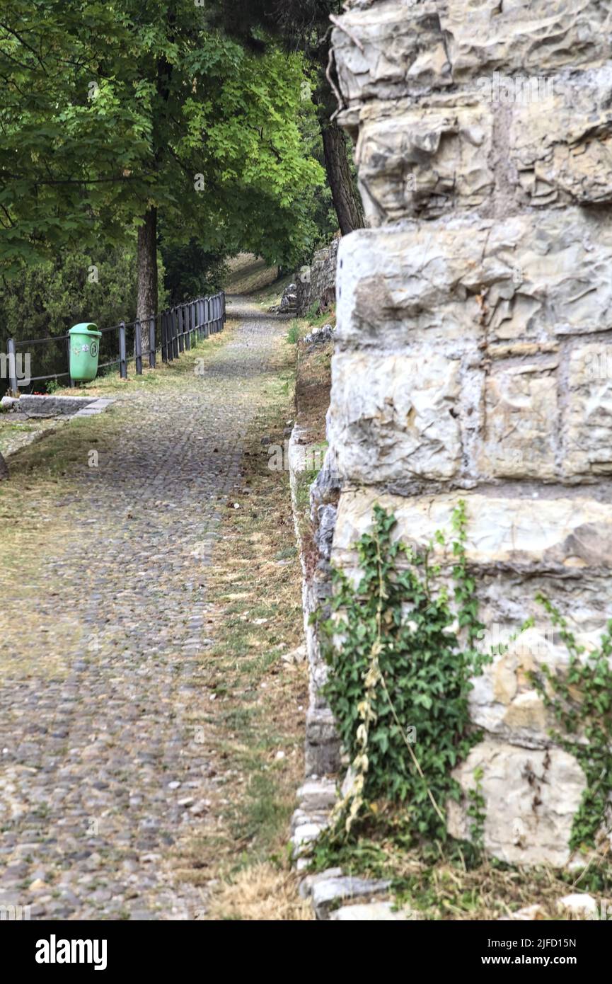 Cobbled path in the shade in a park Stock Photo - Alamy