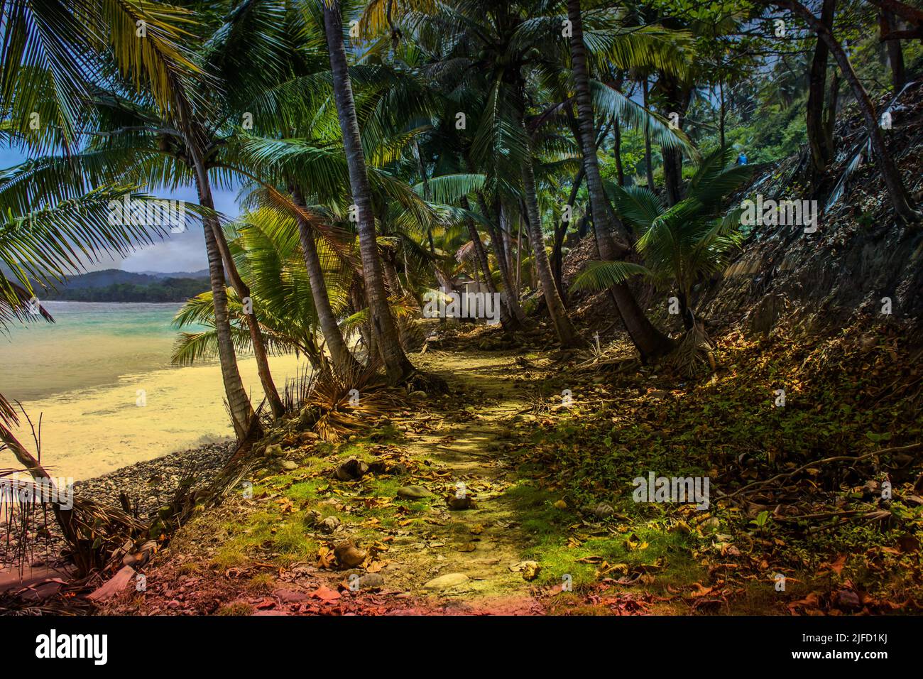 Reggae beach jamaica hi-res stock photography and images - Alamy