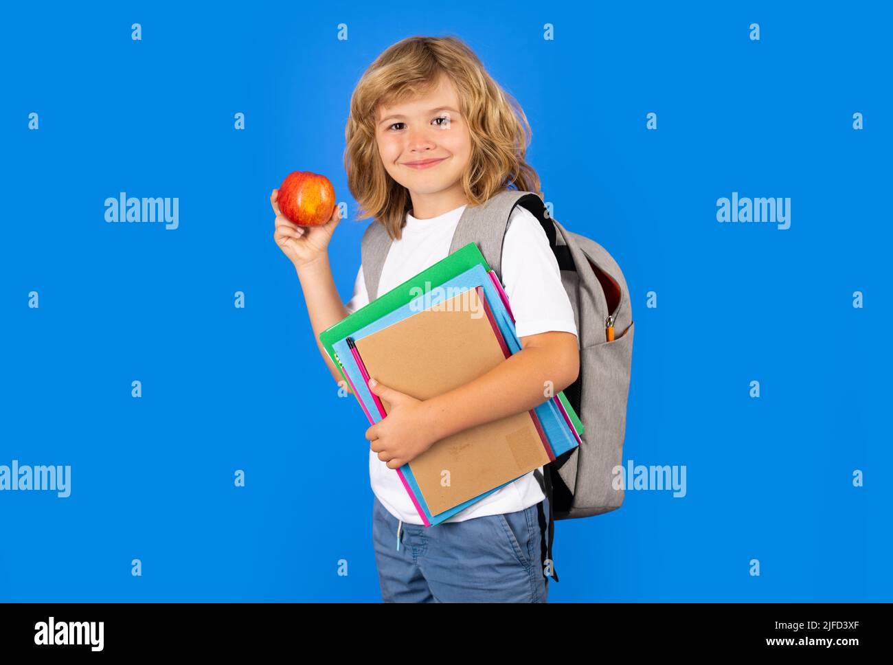 Portrait of pupil student hold book on blue isolated studio background ...