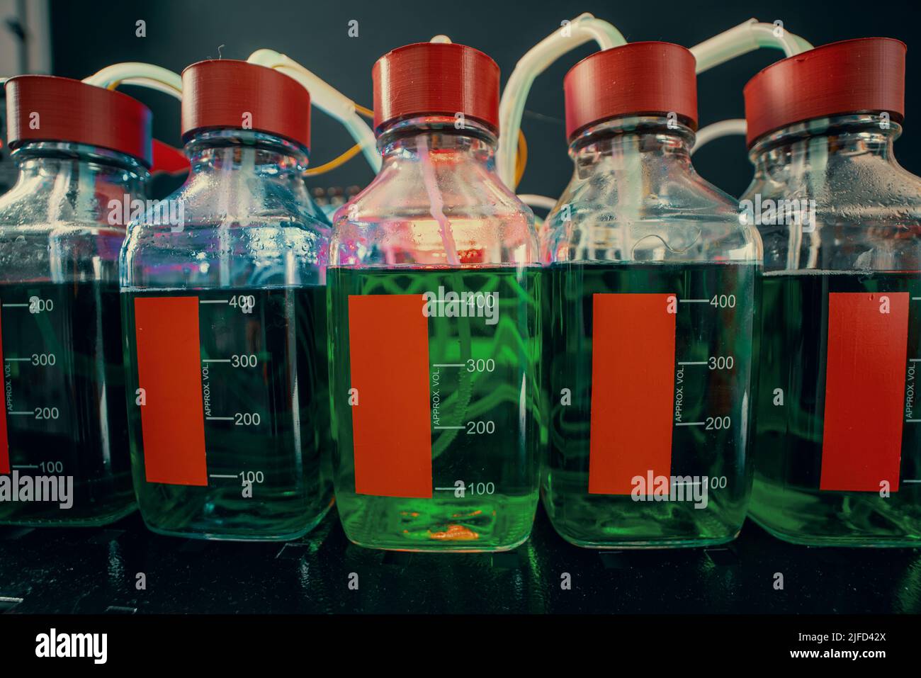 Experimental setup for enzymatic synthesis by genetically modified ...